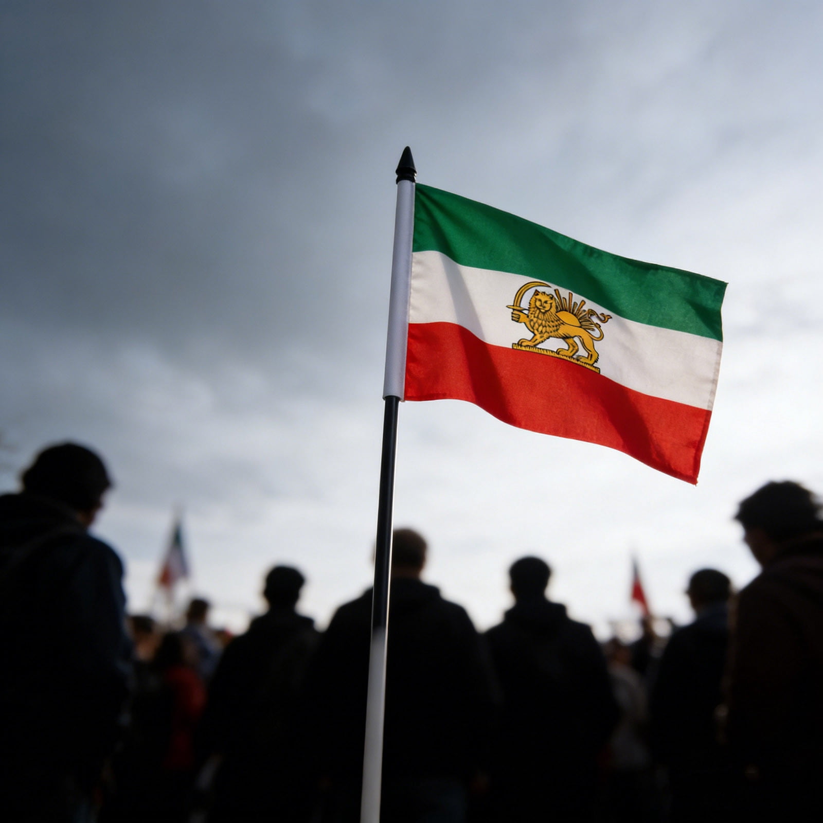 3Pcs Iran Hand Cranked Flag, Uscallm Iran Flag Hand Cranked Patriotic ...