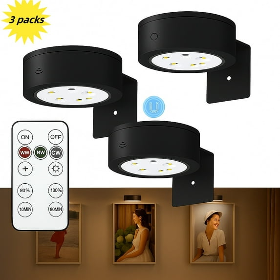 PANGTON VILLA Wireless LED Picture Light, Remote Control, Dimmable ...