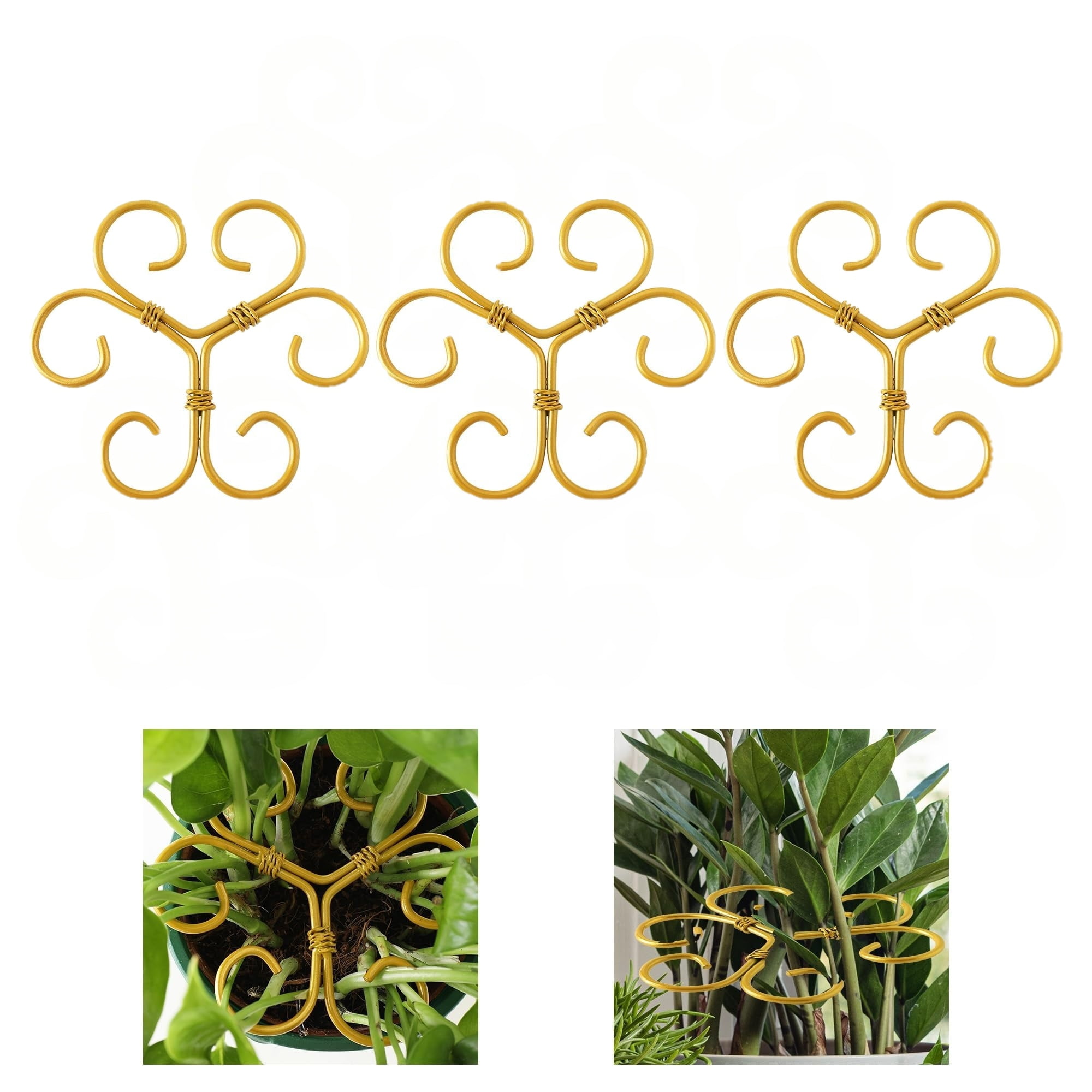 3Pcs Plant Stem Support, Metal Climbing Houseplant Stem Supports Plant ...