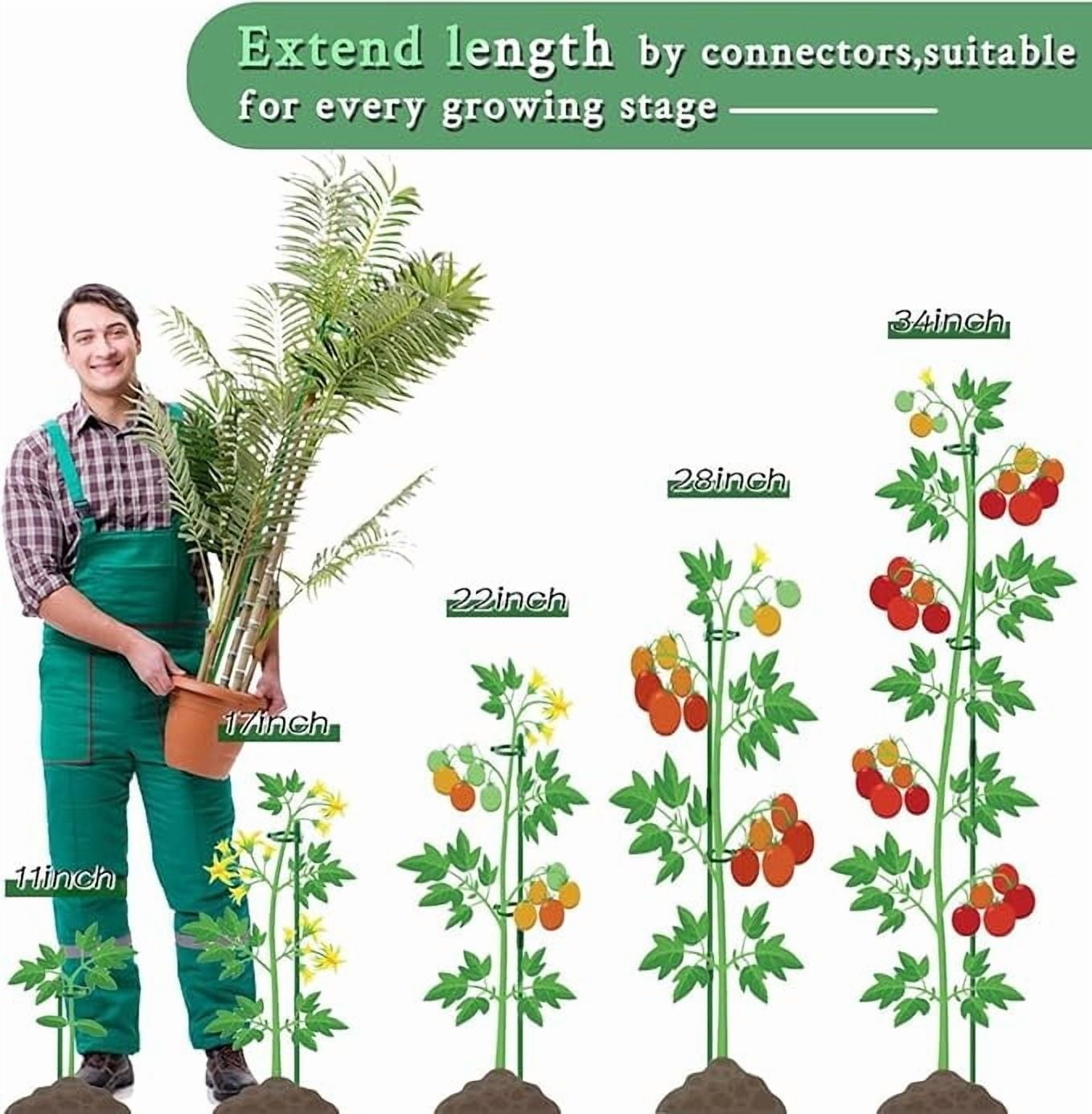 3Pcs Plant Support Poles Phalaenopsis Flower Climbing Fixed Frame for ...