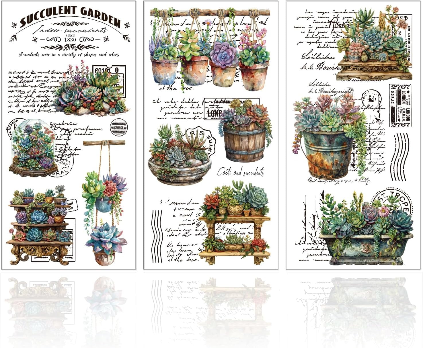 3Pcs Retro Succulents Furniture Transfer 5.9x11.8inch Text Plants Rub ...