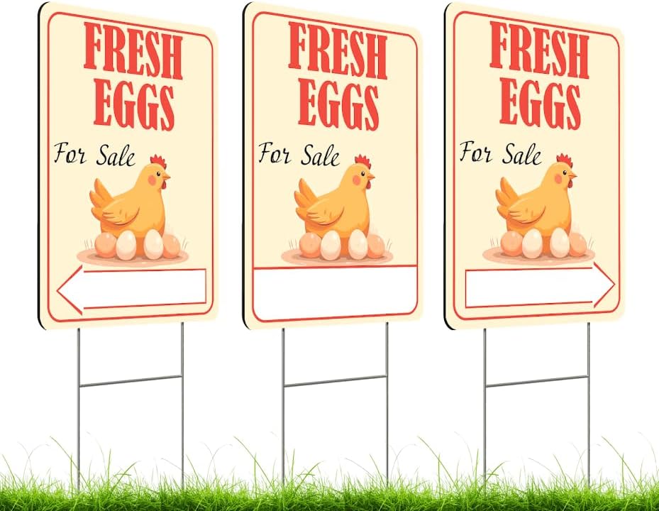 3X Double Sided 12x16 Inches Fresh Eggs For Sale Plastic Sign with ...