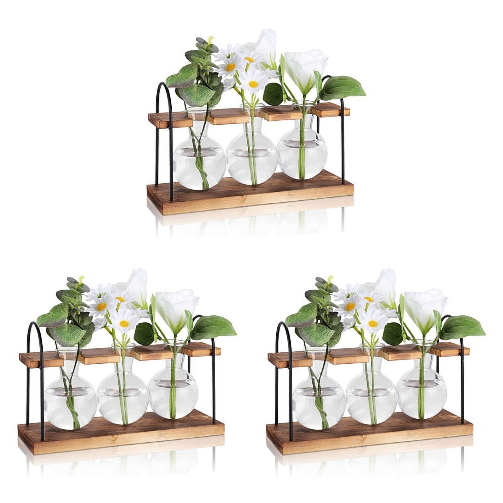 3X Plant Propagation Station with Wooden Stand,Plant Terrarium Desktop ...