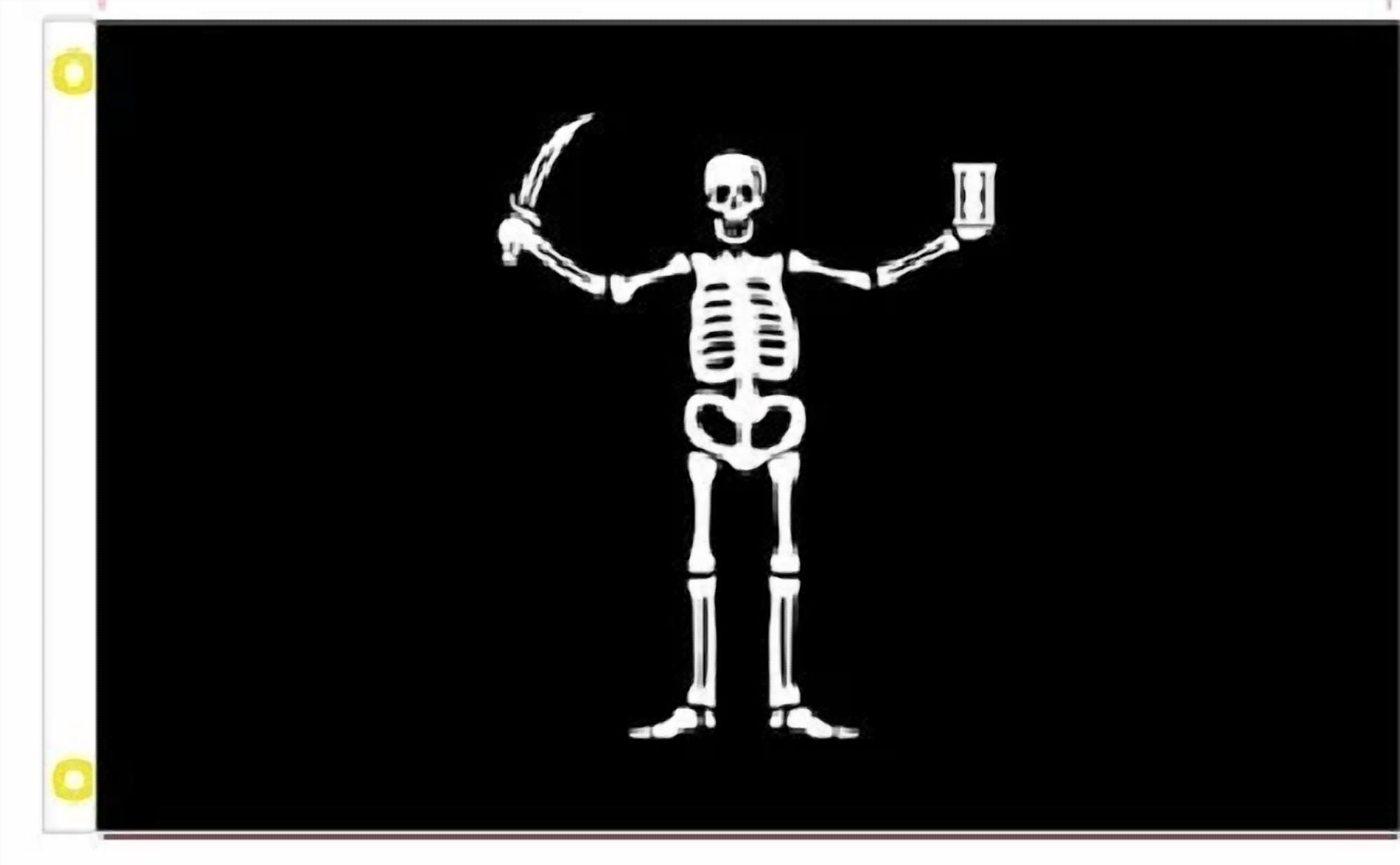 3X5 Captain Flint Pirate Flag Banner 100D W/ Grommets - Walmart.com