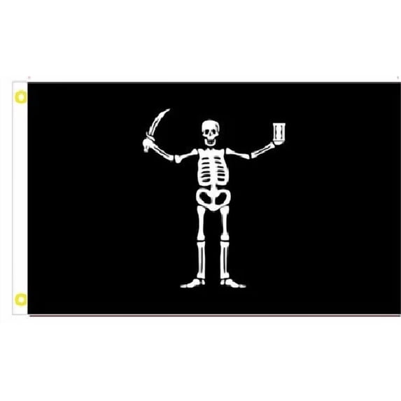 3X5 Captain Flint Pirate Flag Banner 100D W/ Grommets - Walmart.com
