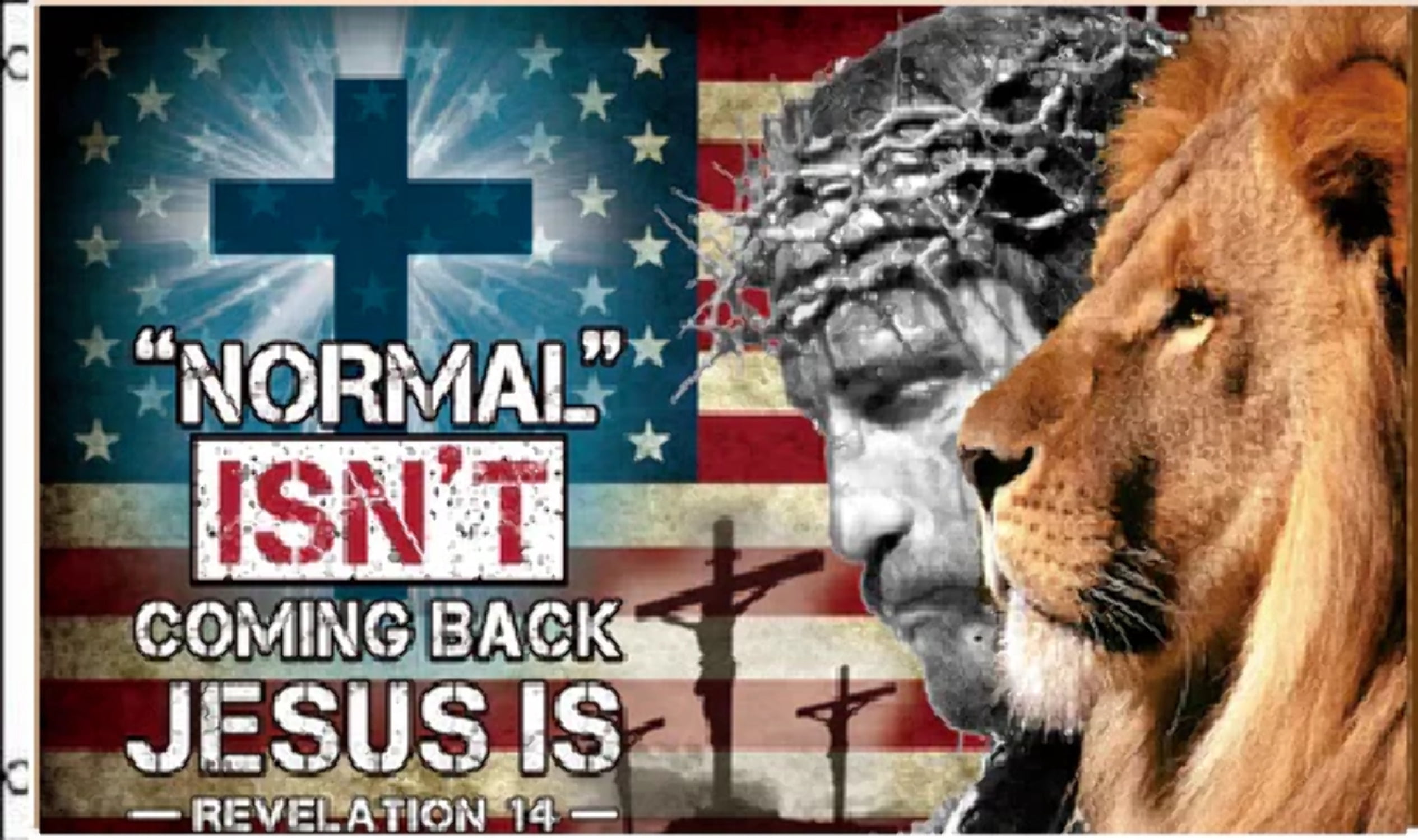 3X5 JESUS CHRIST CROSS LION NORMAL ISN'T COMING BACK REVELATION 14 FLAG ...