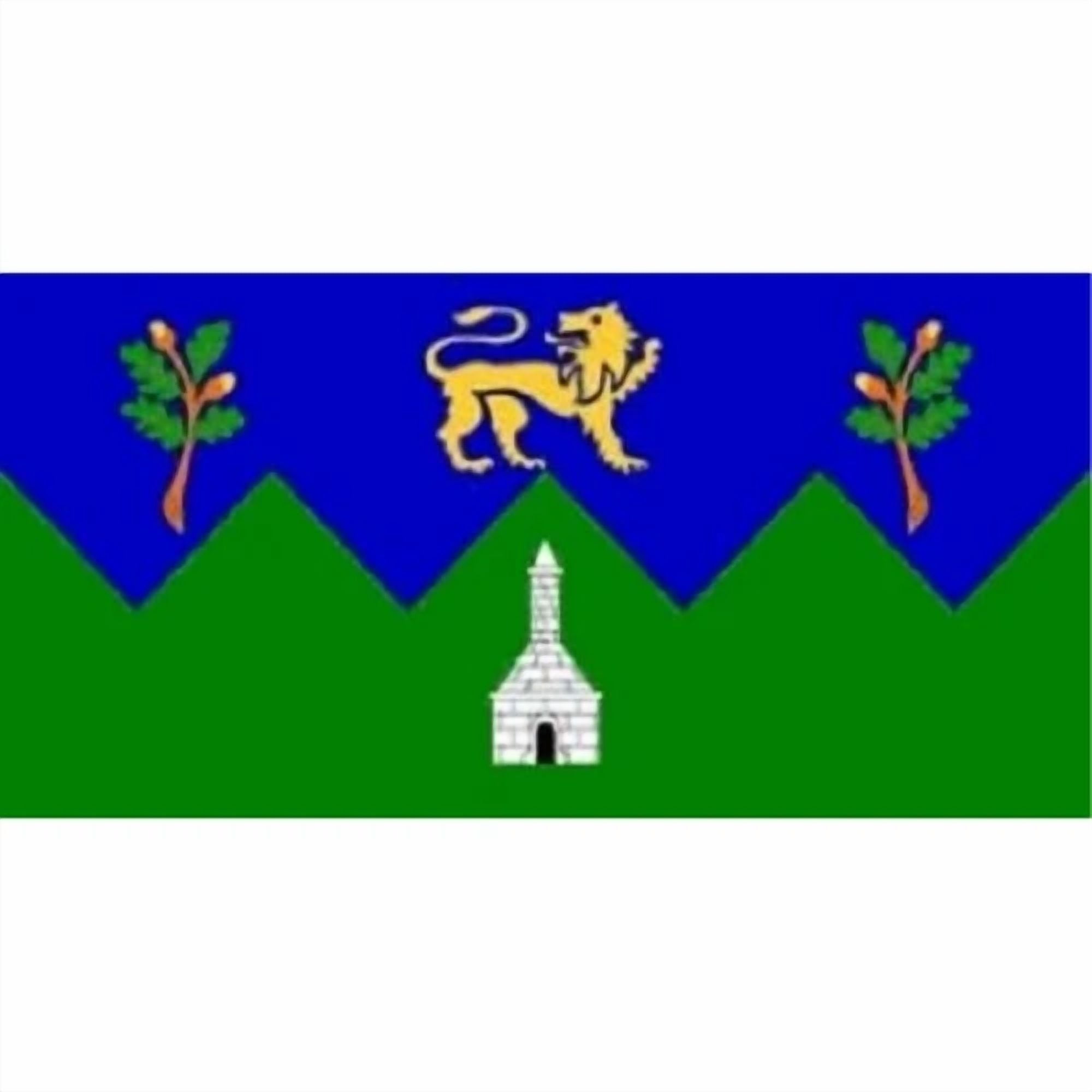 3X5 Wicklow County Ireland Flag Irish Banner Pennant - Walmart.com