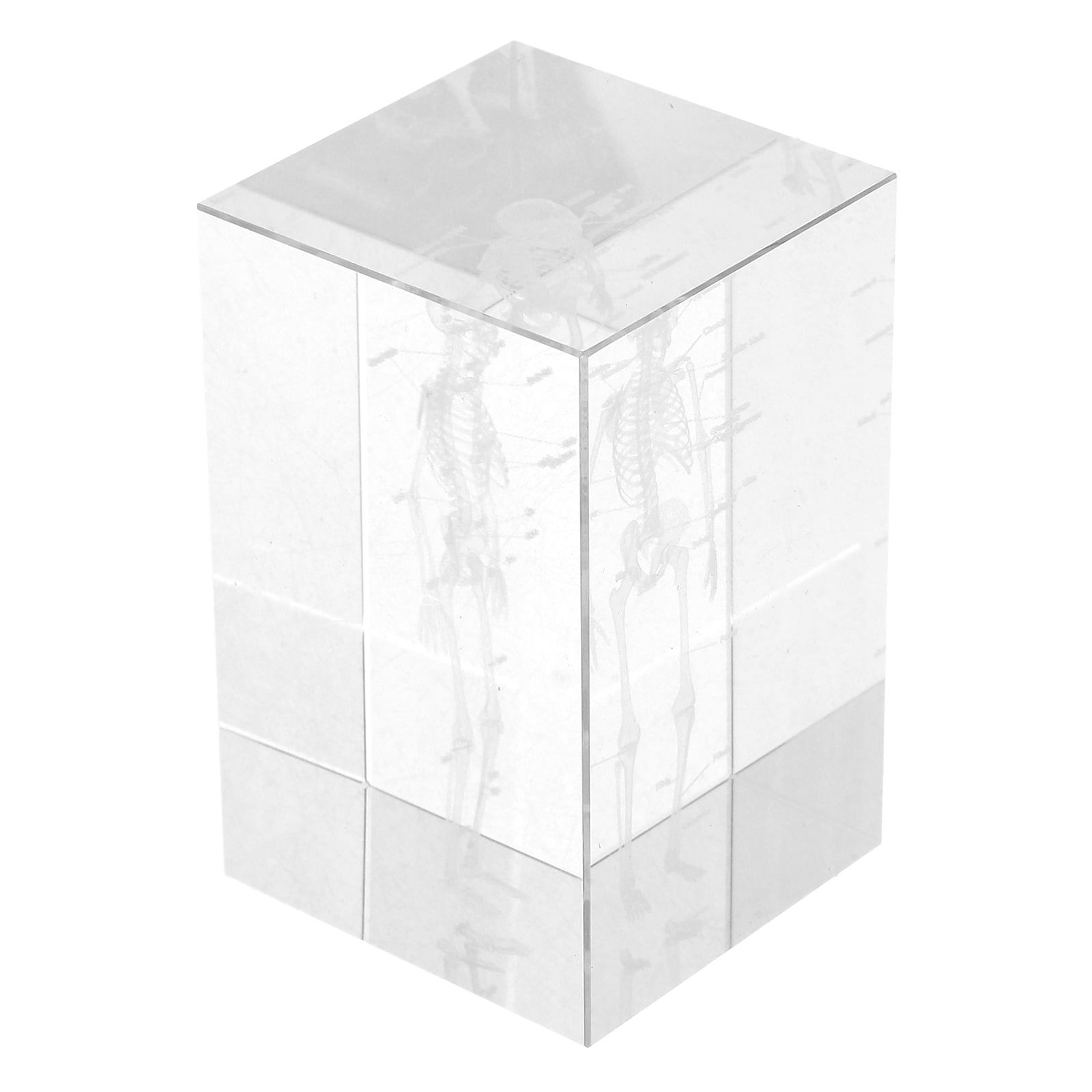 3d Human Skeleton Anatomical Model Paperweight Crystal Glass Cube ...