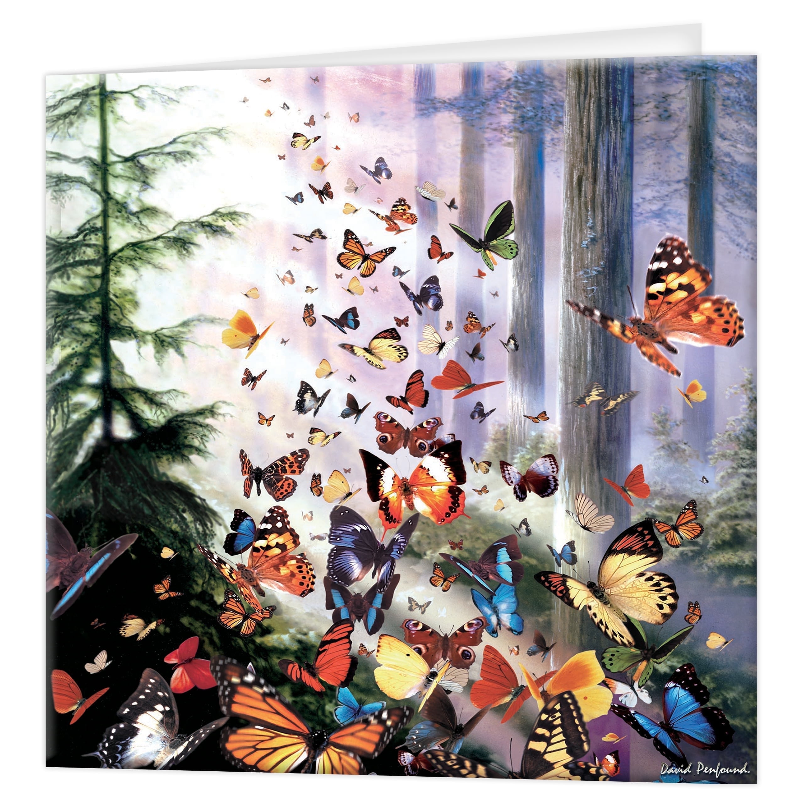 3D LiveLife Greeting Card - Butterfly Woods Lenticular 3D Card by ...