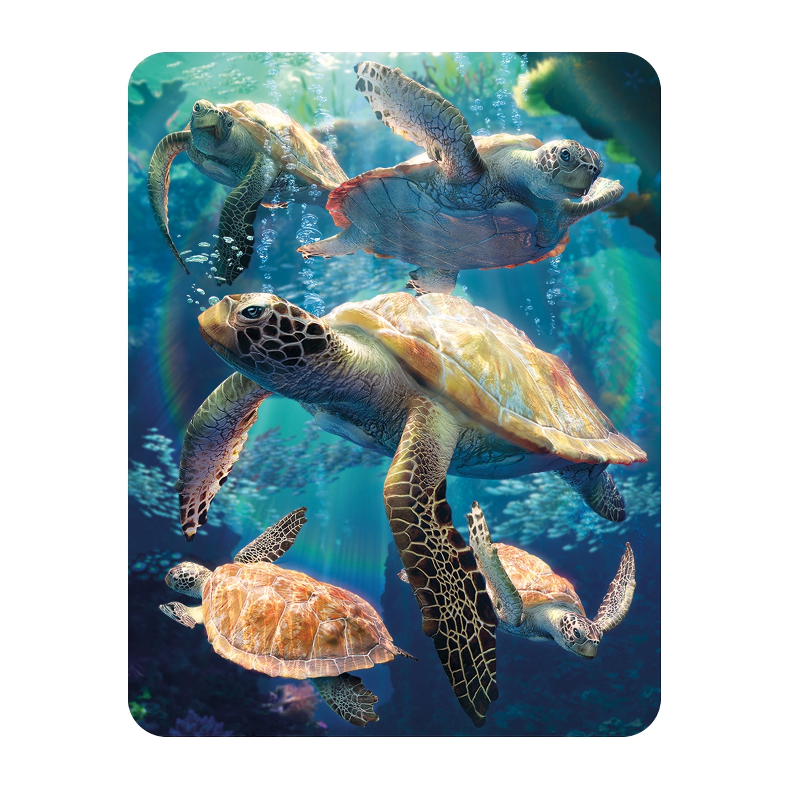 3D LiveLife Magnet – Sea Turtle Swim from Deluxebase, Lenticular Ocean ...