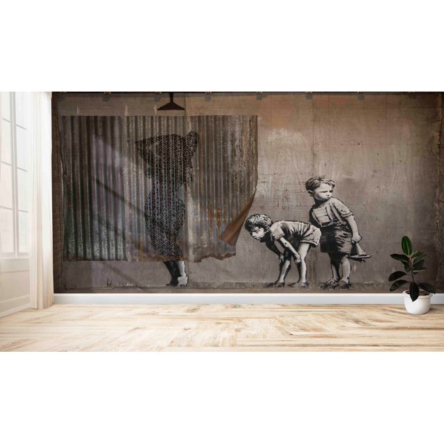 3d Wallpaper, Modern Wallpaper, Bright Wallpaper, Banksy Lady Shower ...