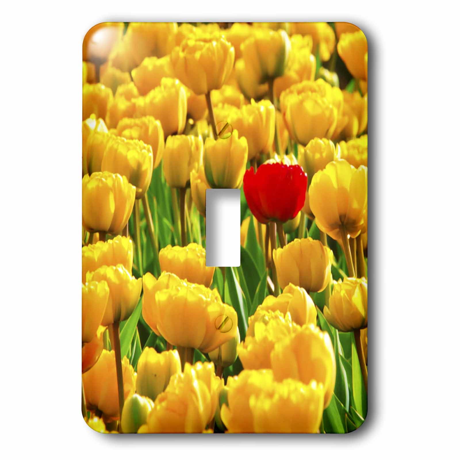 3dRose, 1 Red Among Yellow Tulips, single toggle switch - Walmart.com