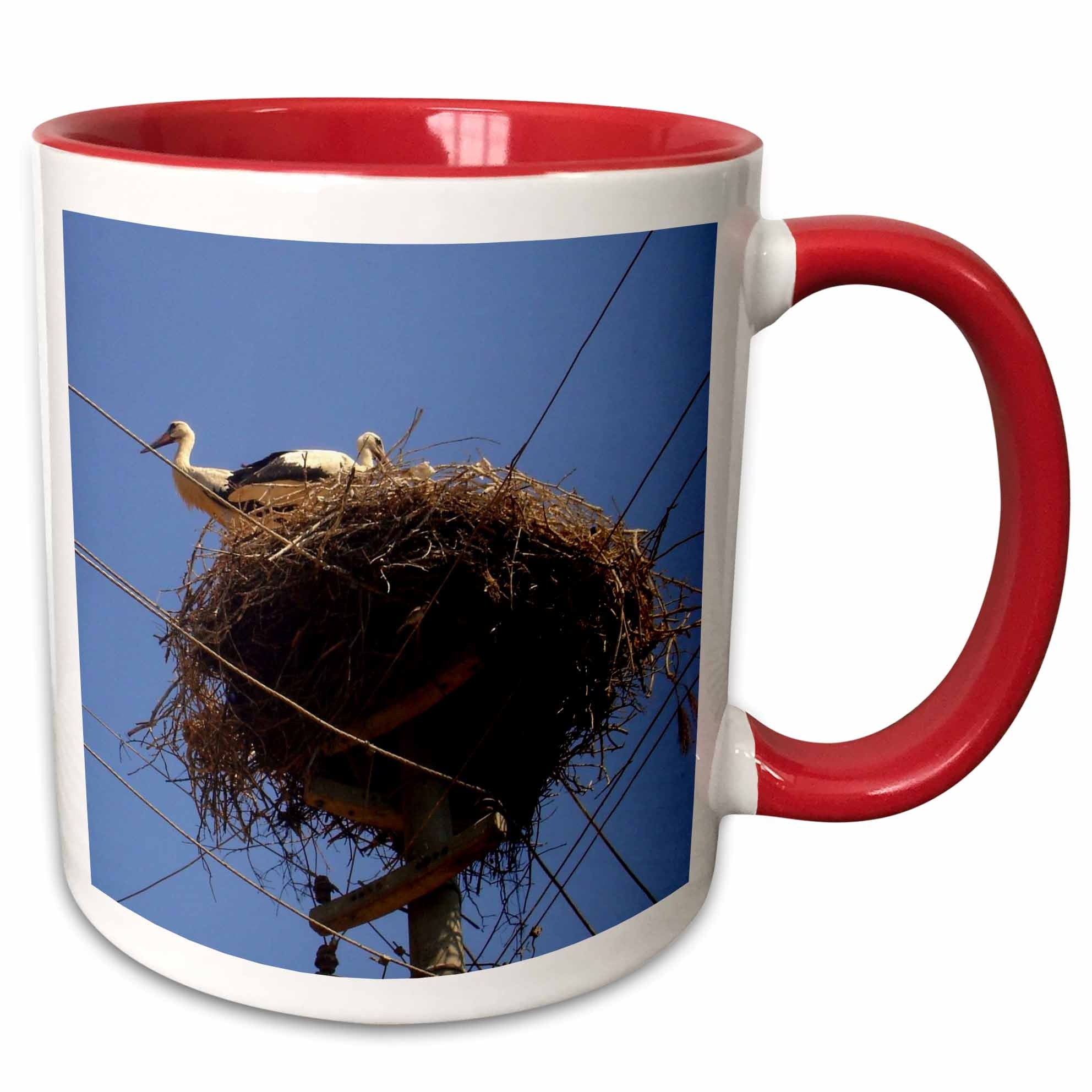 3drose, a Breeding Pair of White Storks in Yesilova Koyu Mugla, 15oz ...