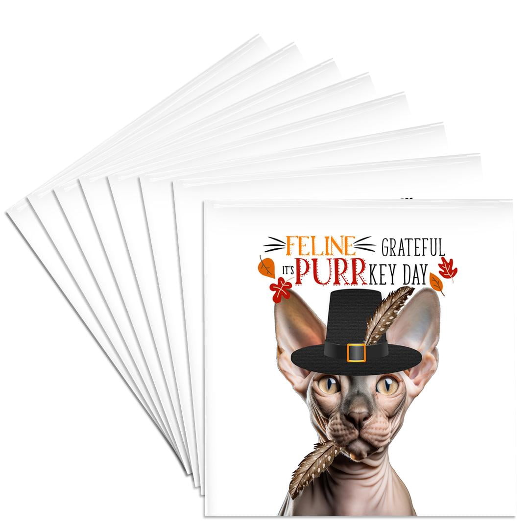 3drose, Adorable Sphynx Cat Loves Turkey Day for a Funny Thanksgiving ...