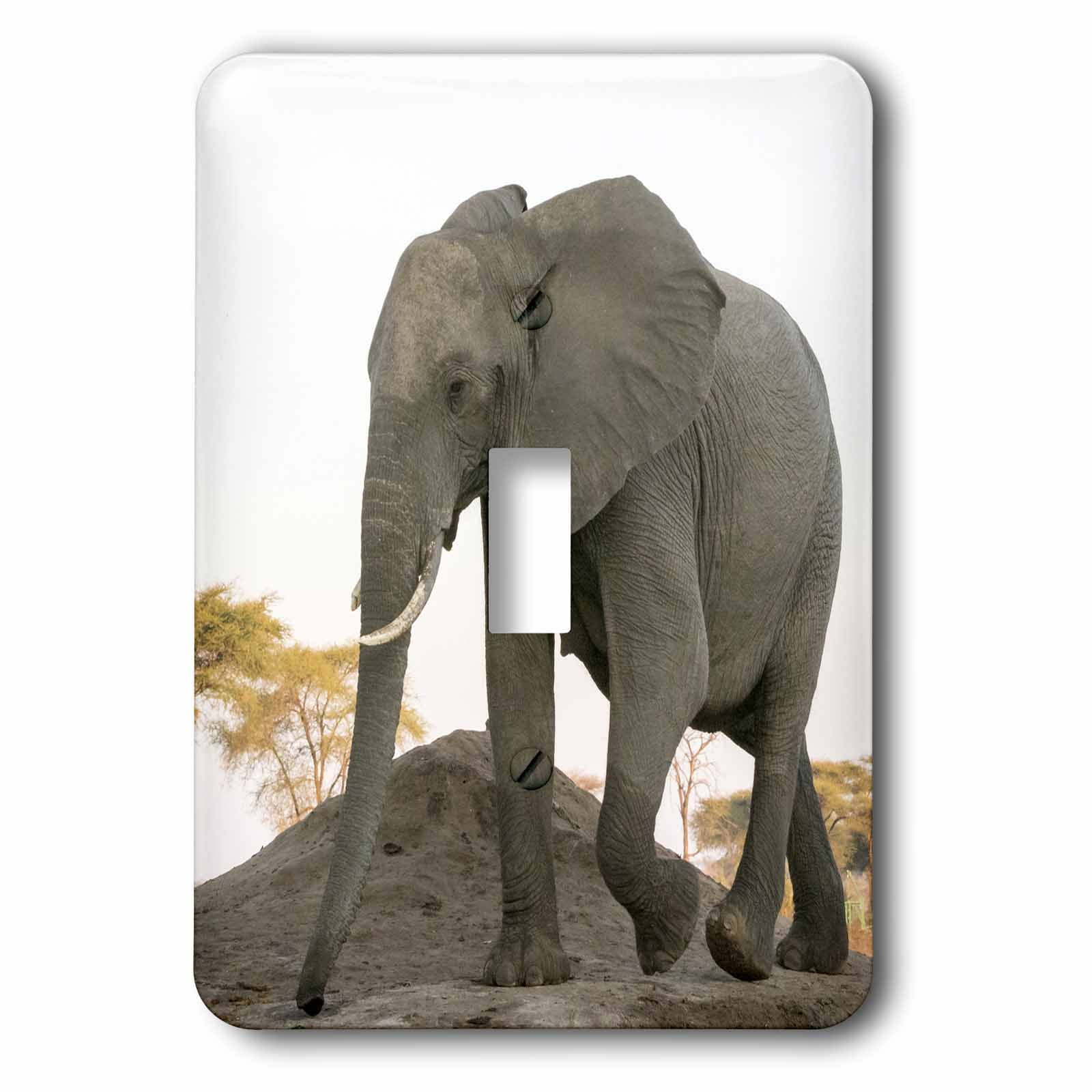 3dRose, Africa, Botswana, Senyati Safari Camp.Female elephant walking ...