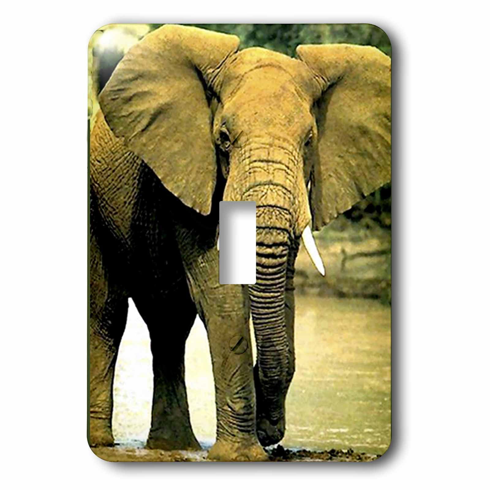 3dRose, African Elephant, single toggle switch - Walmart.com