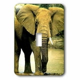 3dRose, African Elephant, single toggle switch - Walmart.com