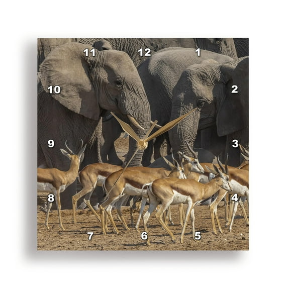 3dRose, African Elephants and wildlife at waterhole in Etosha National ...