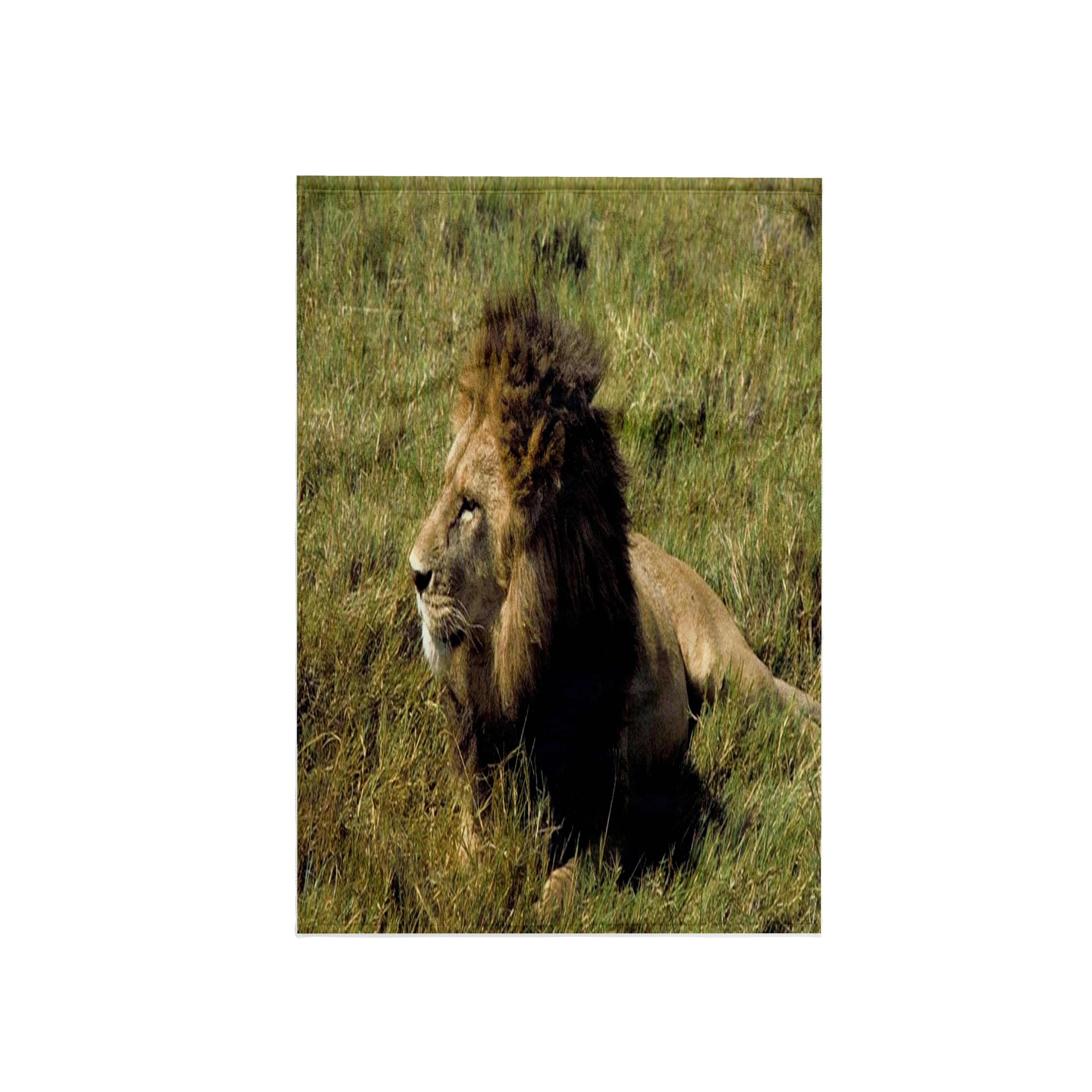 3dRose, African Male Lion, 15x22 Hand Towel - Walmart.com