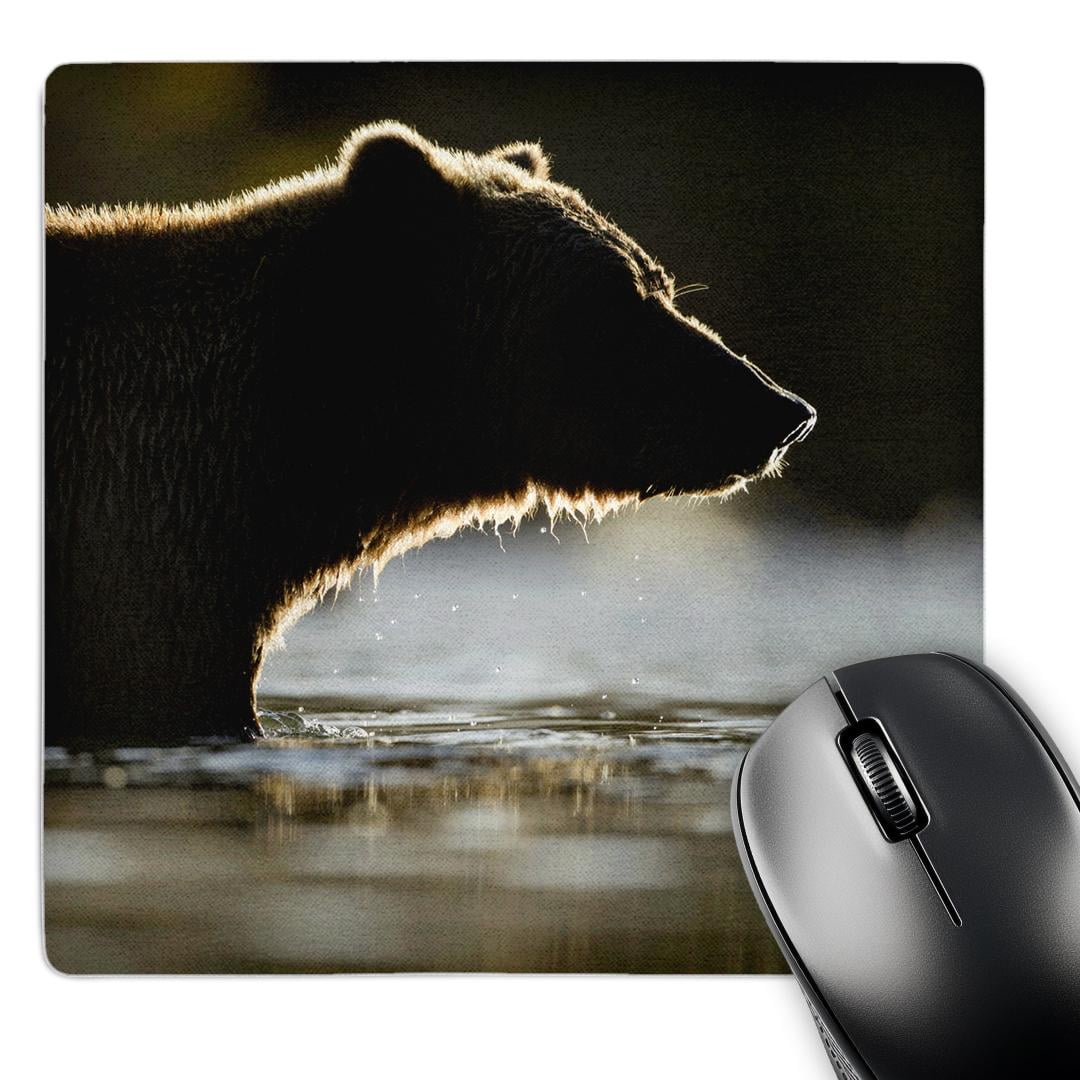 3dRose, Alaska, Katmai National Park, Grizzly Bear - US02 PSO1294 ...