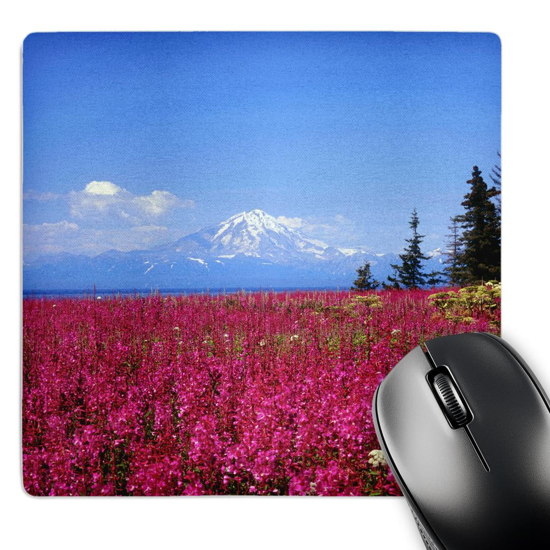 3dRose, Alaska, Mt, Redoubt, Fireweed, Cook Inlet - US02 BFR0019 ...