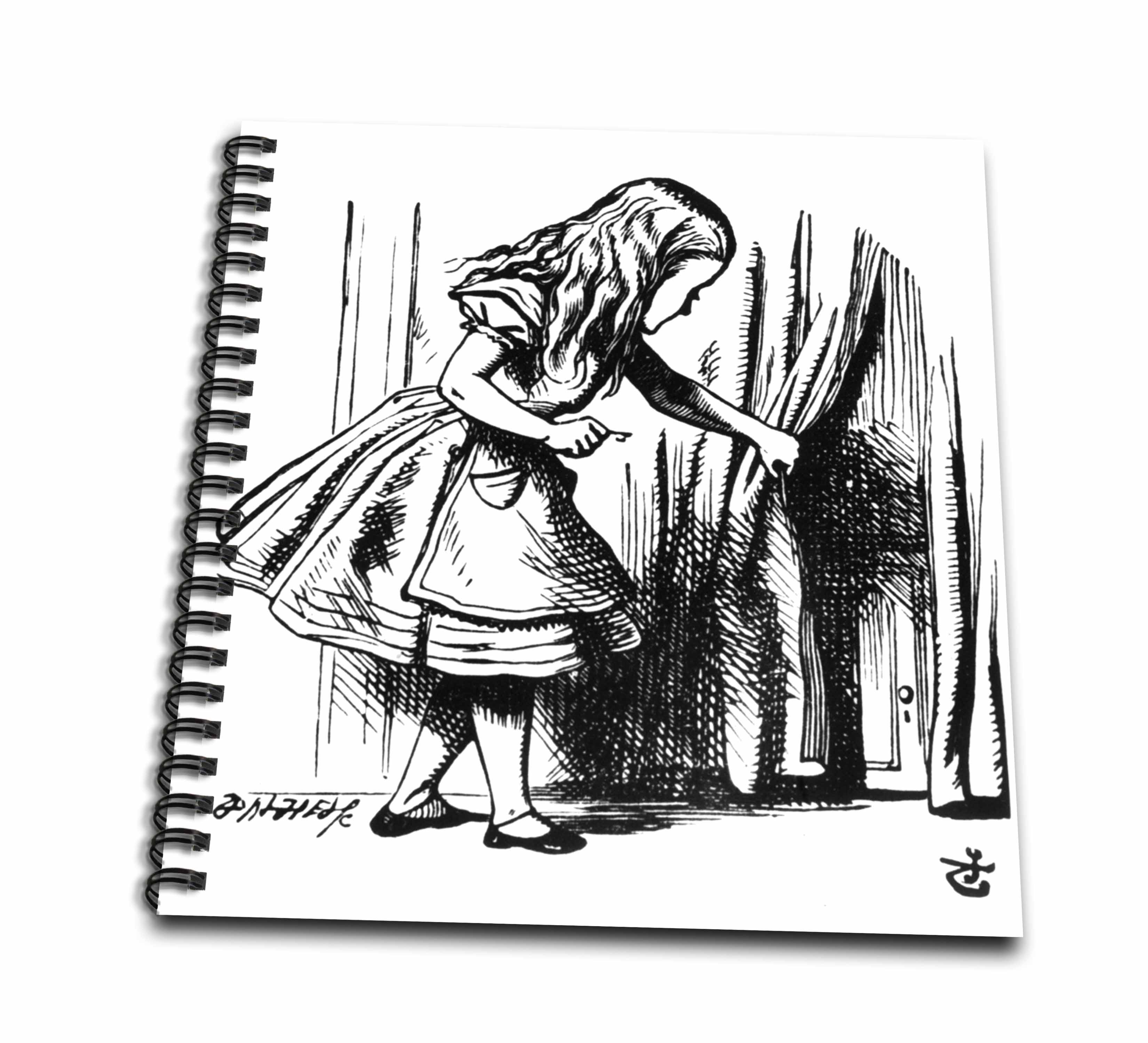 3dRose, Alice in Wonderland key opening the door - John Tenniel ...