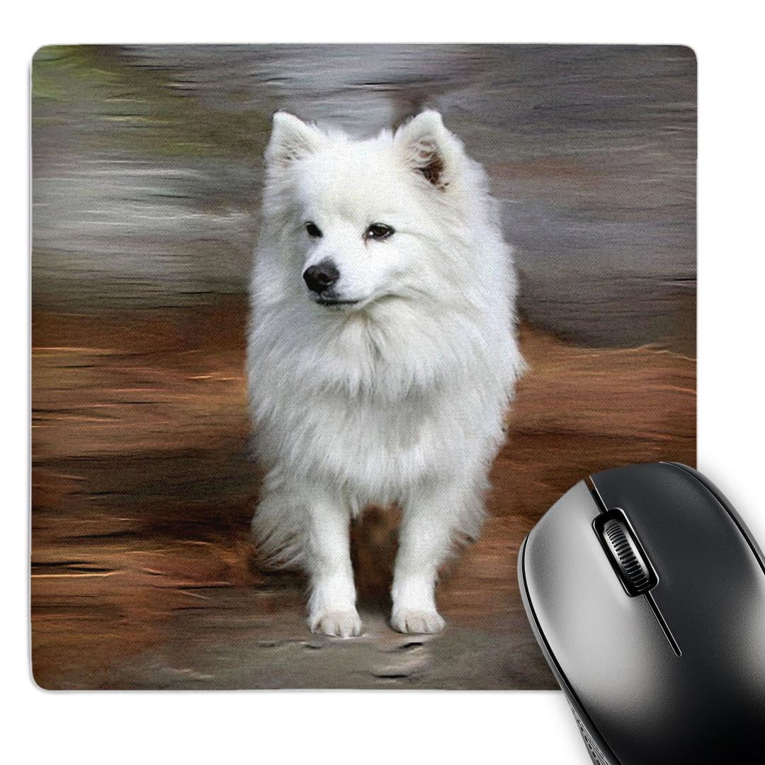 3dRose, American Eskimo Toy Dog, Mouse Pad - Walmart.com
