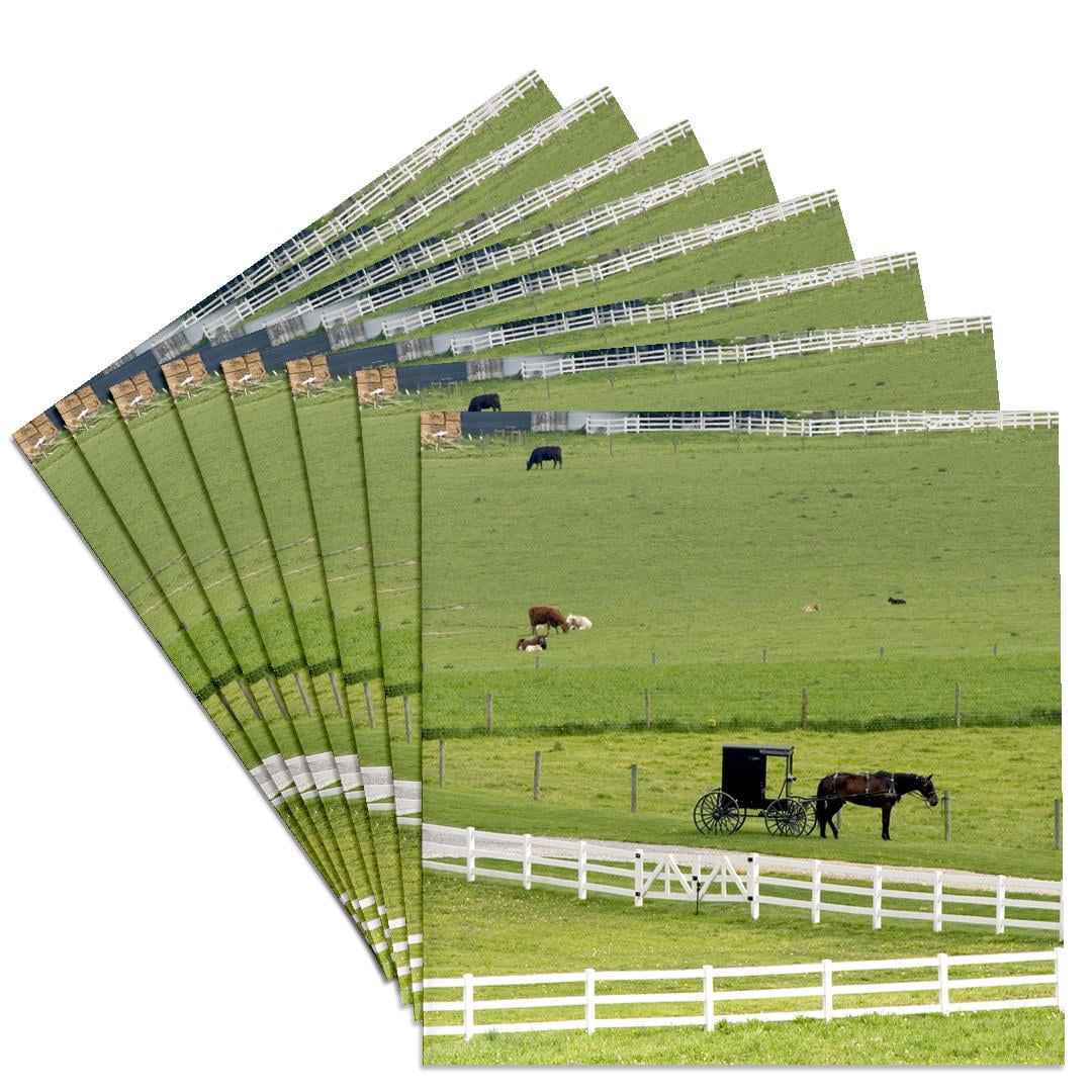 3dRose, Amish farm with horse buggy near Berlin, Ohio - US36 DFR0008 ...