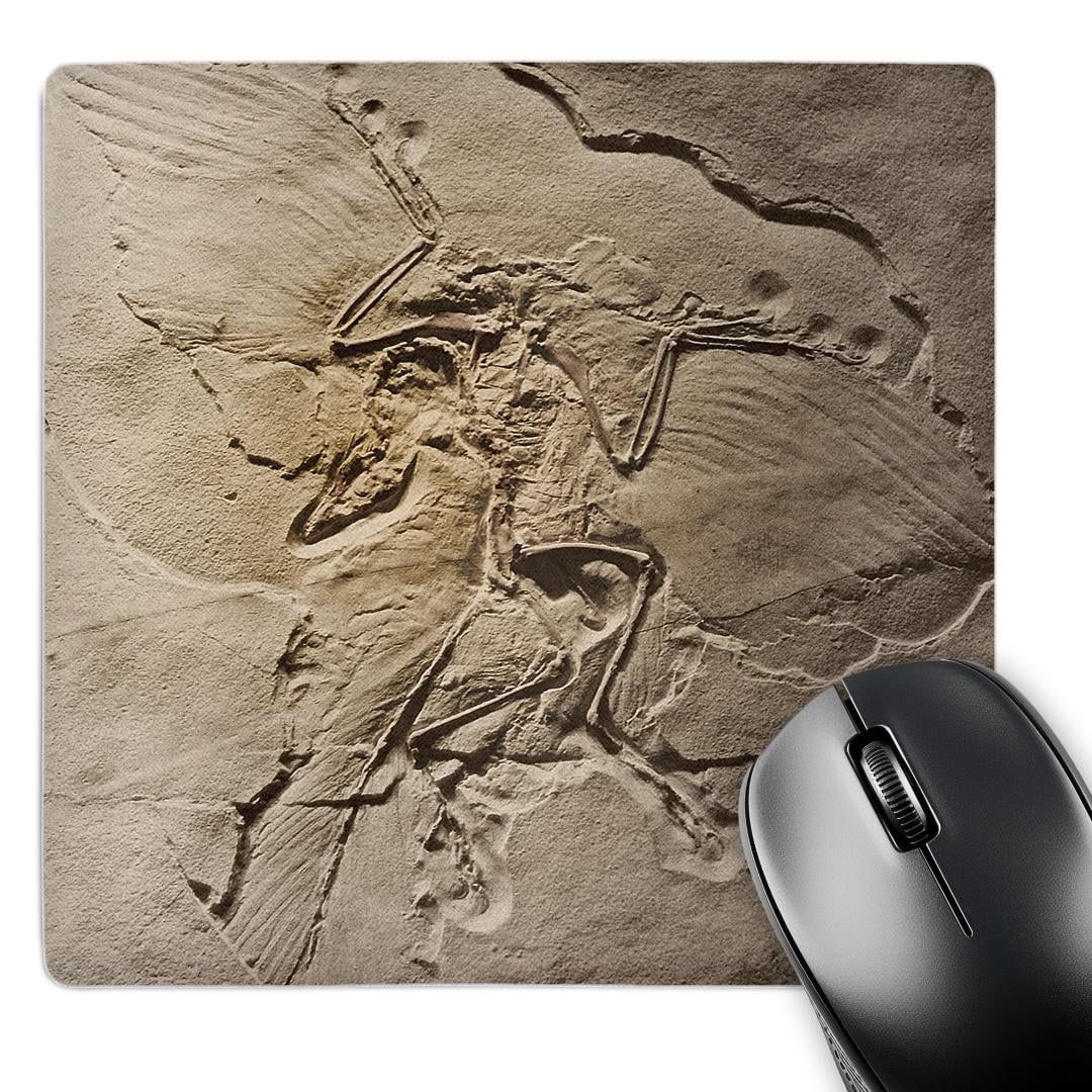 3dRose, Archaeopteryx from the Jurasic Germany, Mouse Pad - Walmart ...