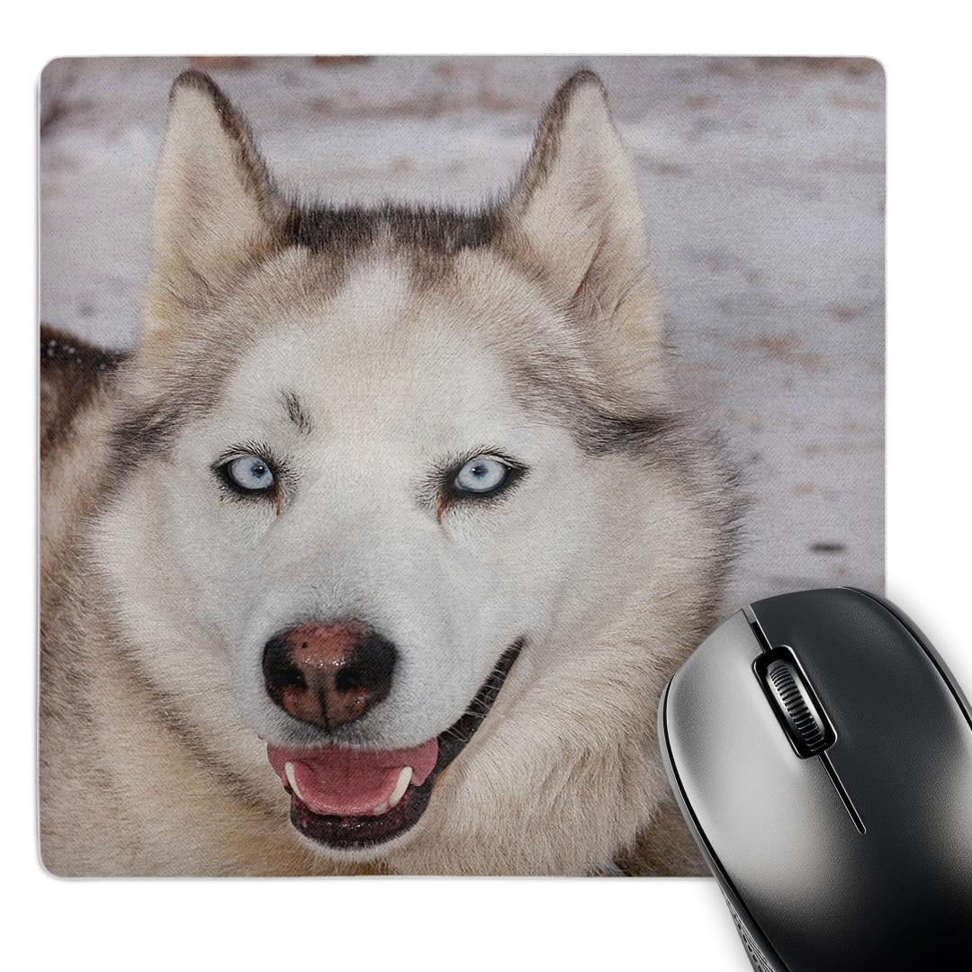 3dRose, Arctic Sledding Dog Grey, Churchill Manitoba Canada., Mouse Pad ...
