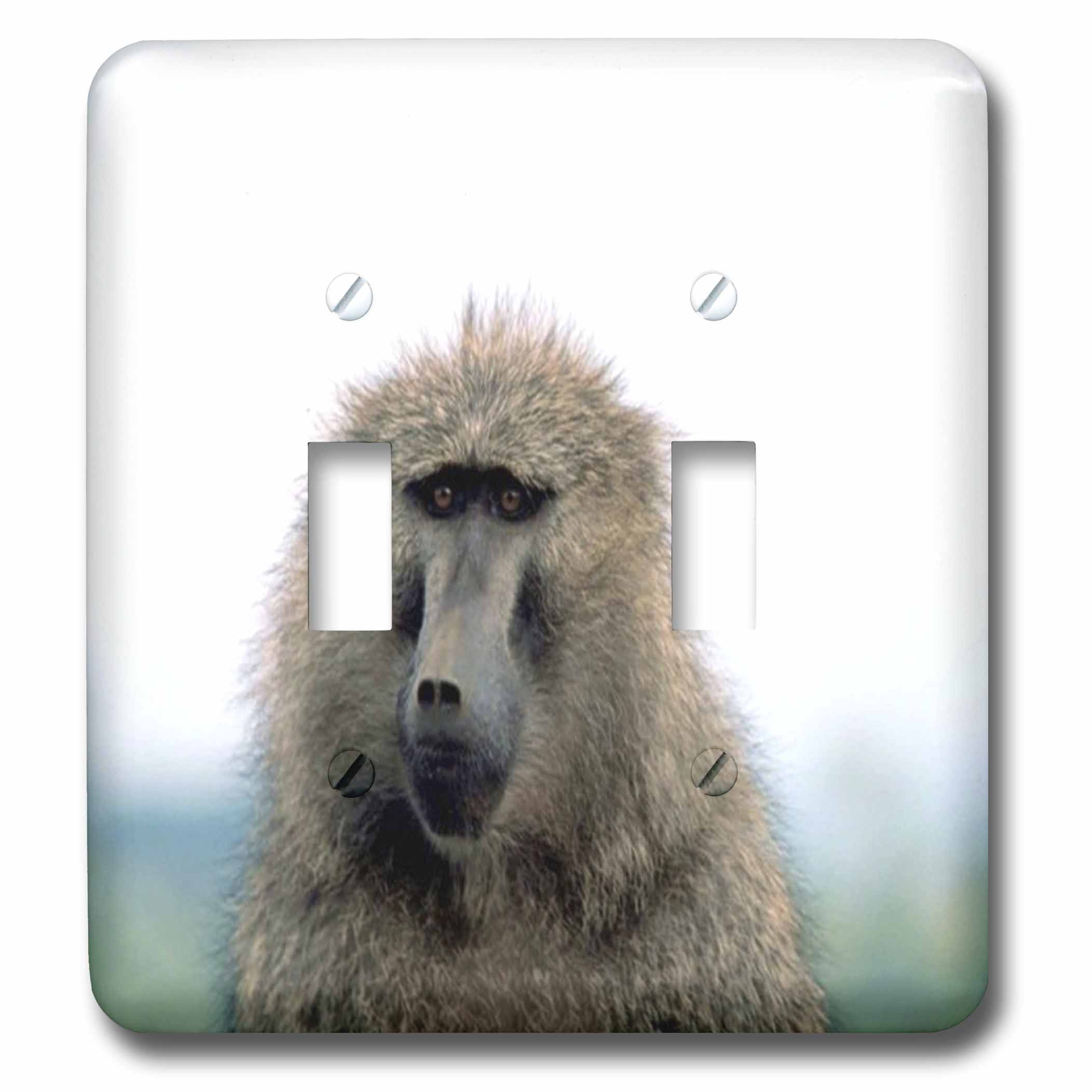 3dRose Baboon Closeup - Double Toggle Switch (lsp_49285_2) - Walmart.com