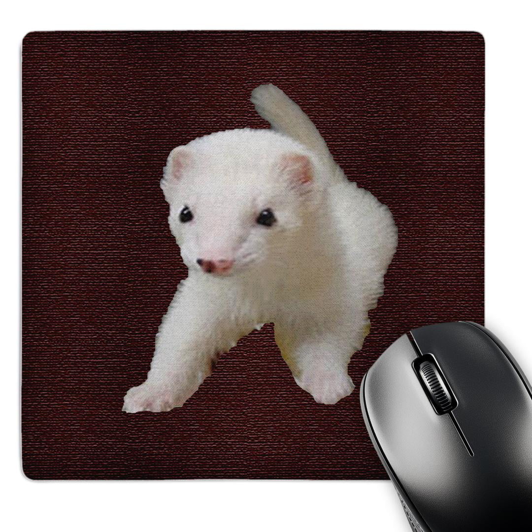 3dRose, Baby Albino Ferret, Mouse Pad - Walmart Business Supplies