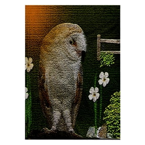 Owl A Towel