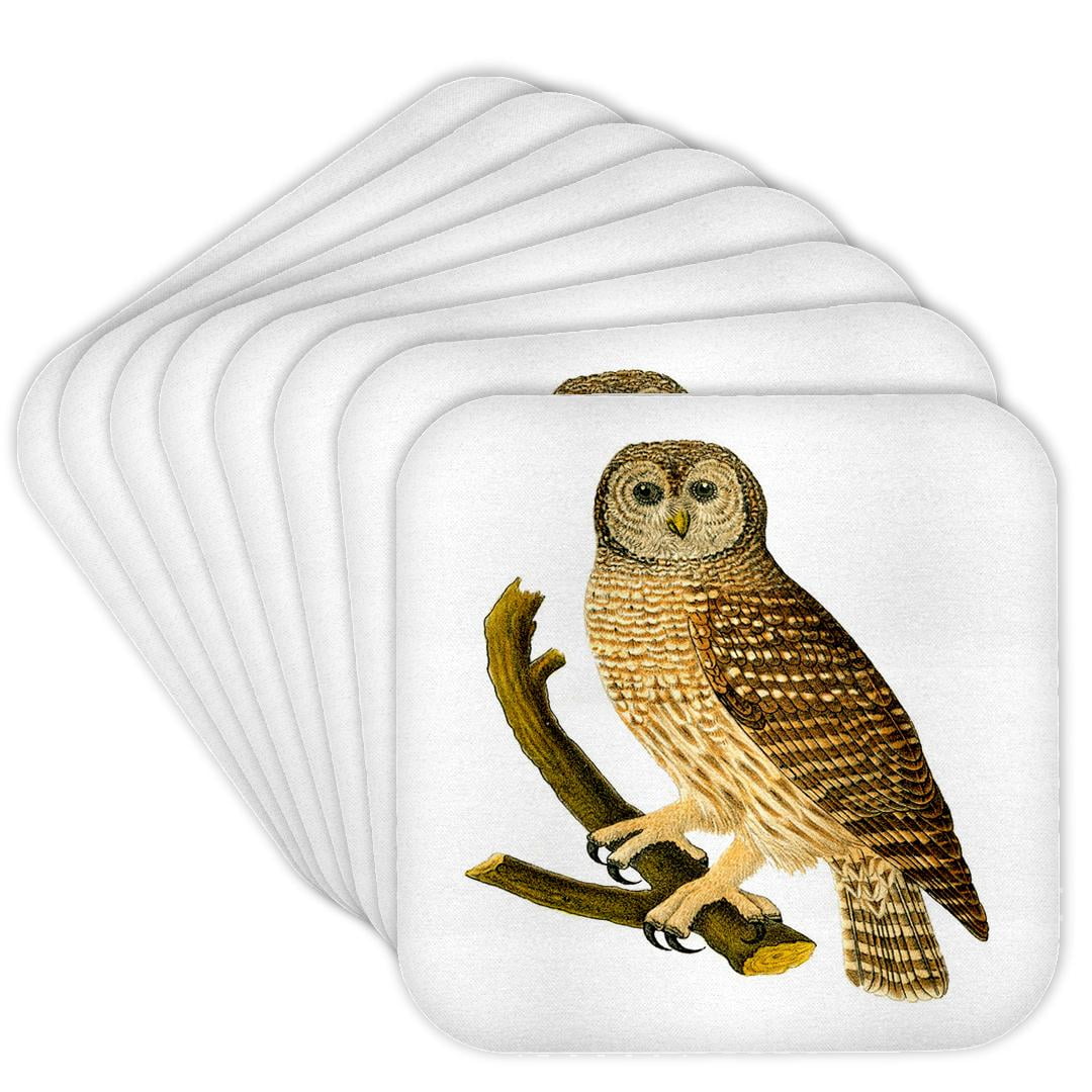 3drose, Barn Owl on Branch, Set of 8 Coasters - Soft - Walmart.com