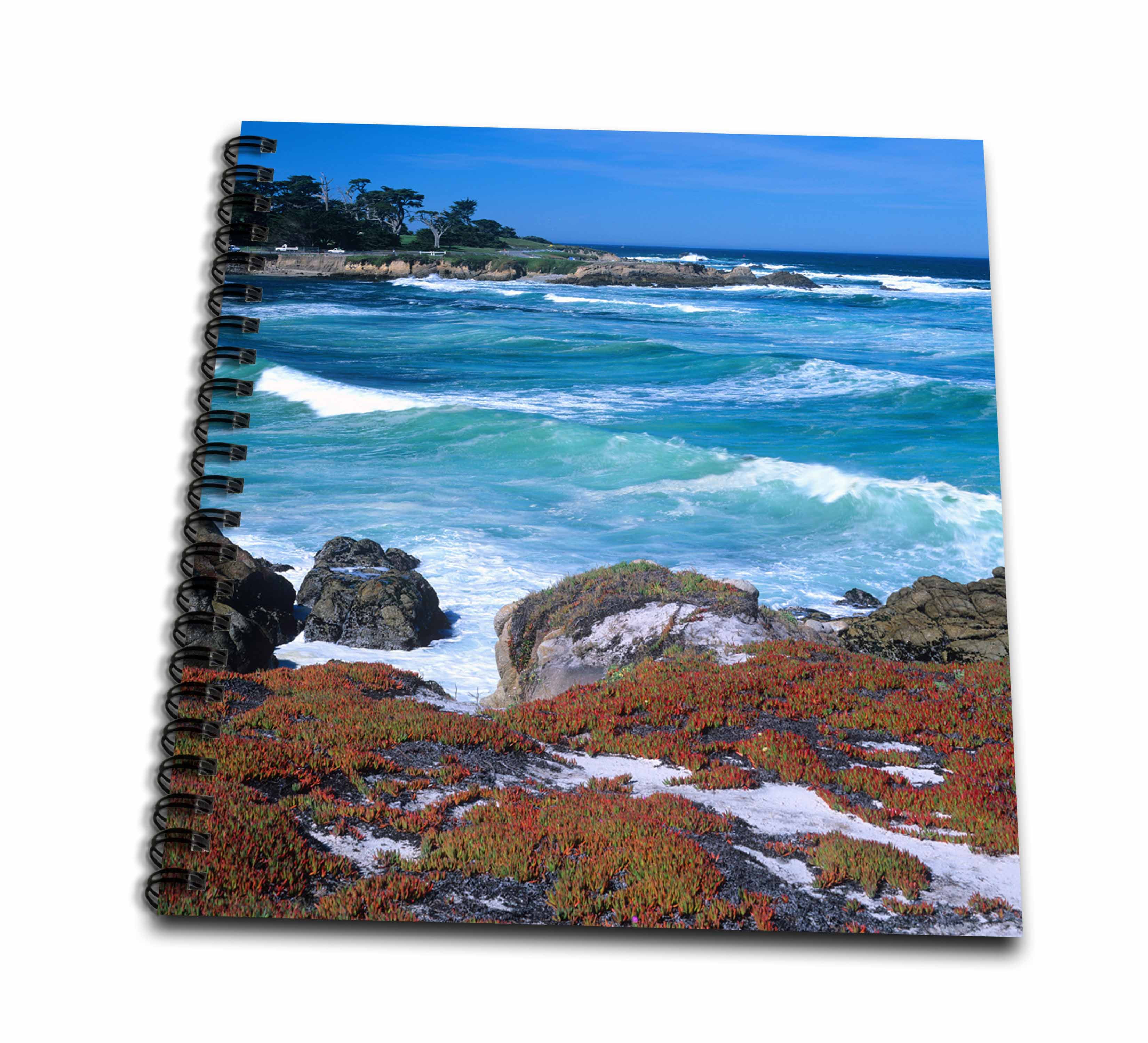 3dRose, Beach, Seventeen Mile Drive, Monterey, California, USA - US05 ...