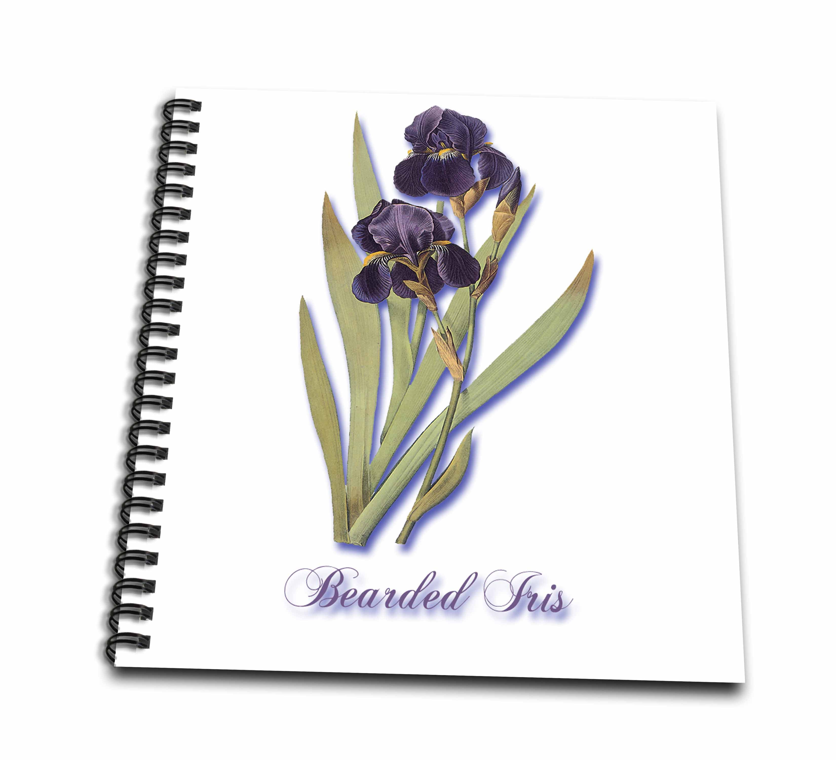 3dRose, Bearded Iris, Botanical Print of Dark Purple Flowers with ...