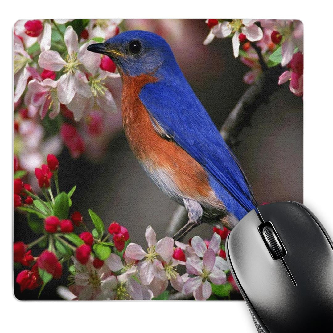 3dRose, Beautiful Bluebird n Cherry Blossoms, Mouse Pad - Walmart.com