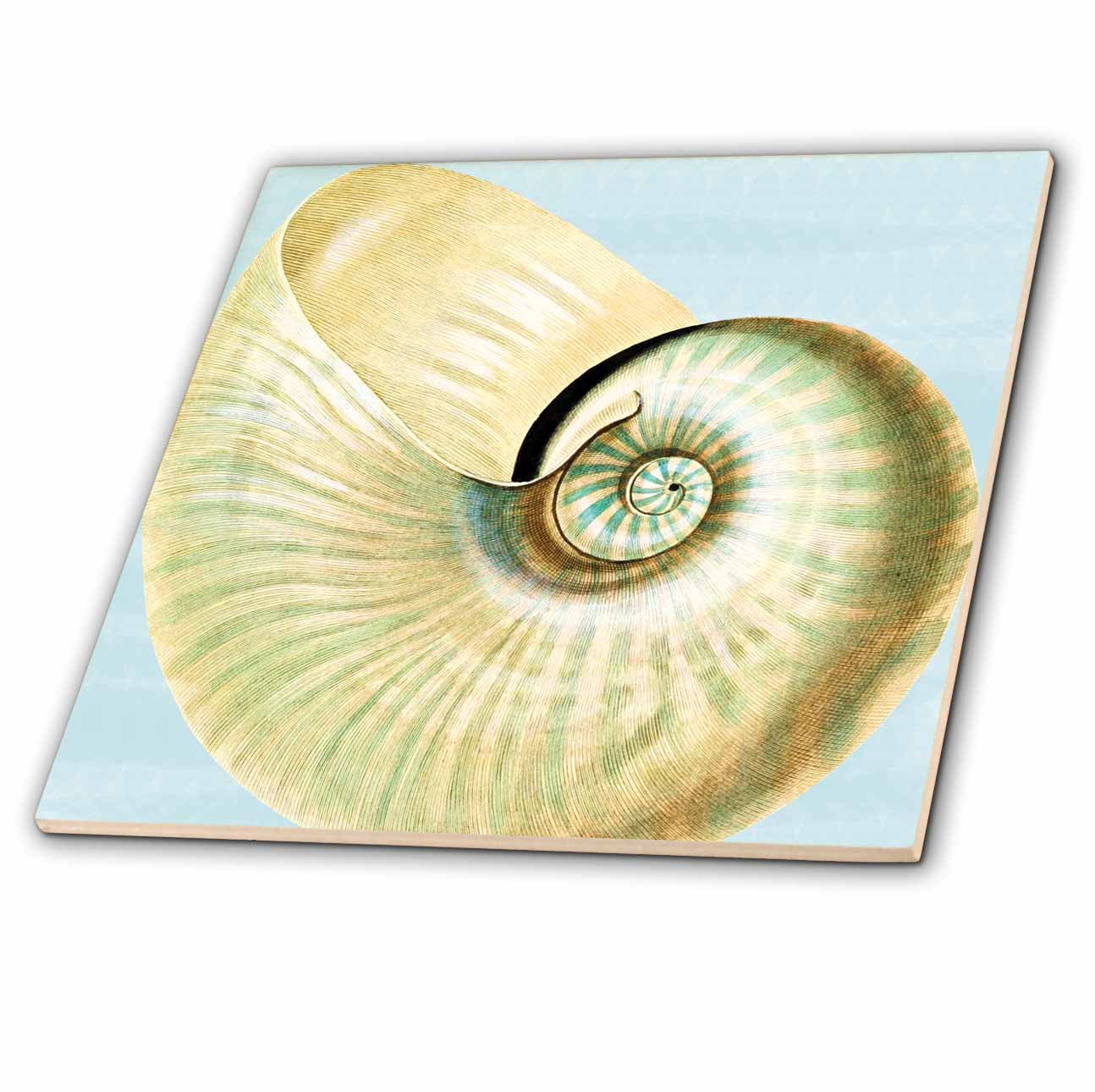 3dRose, Beautiful White Seashell - Beach Themed Art, 4 Inch Ceramic ...