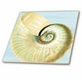 3dRose, Beautiful White Seashell - Beach Themed Art, 4 Inch Ceramic ...