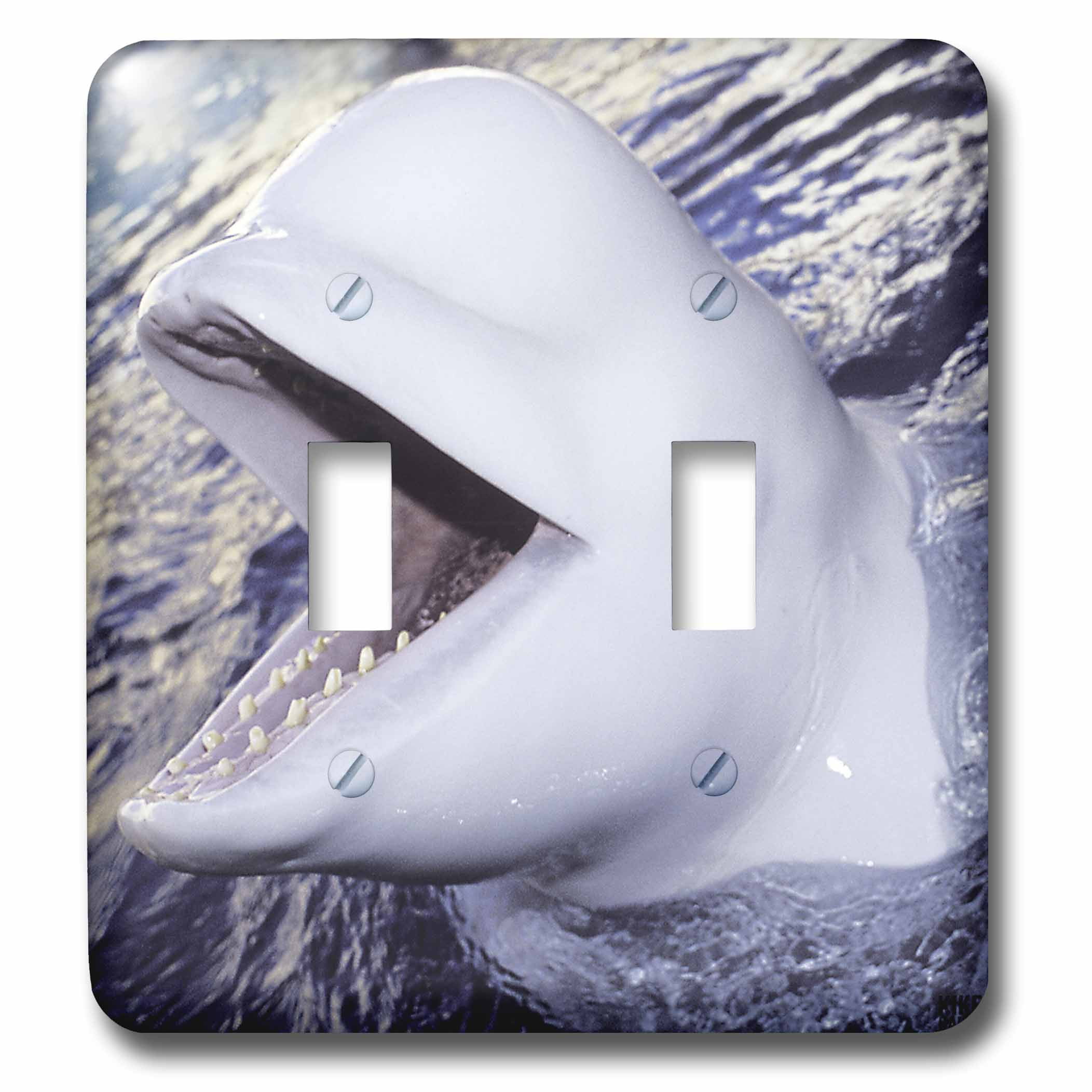 3dRose, Beluga Whale, Delphinapterus leucas, double toggle switch ...