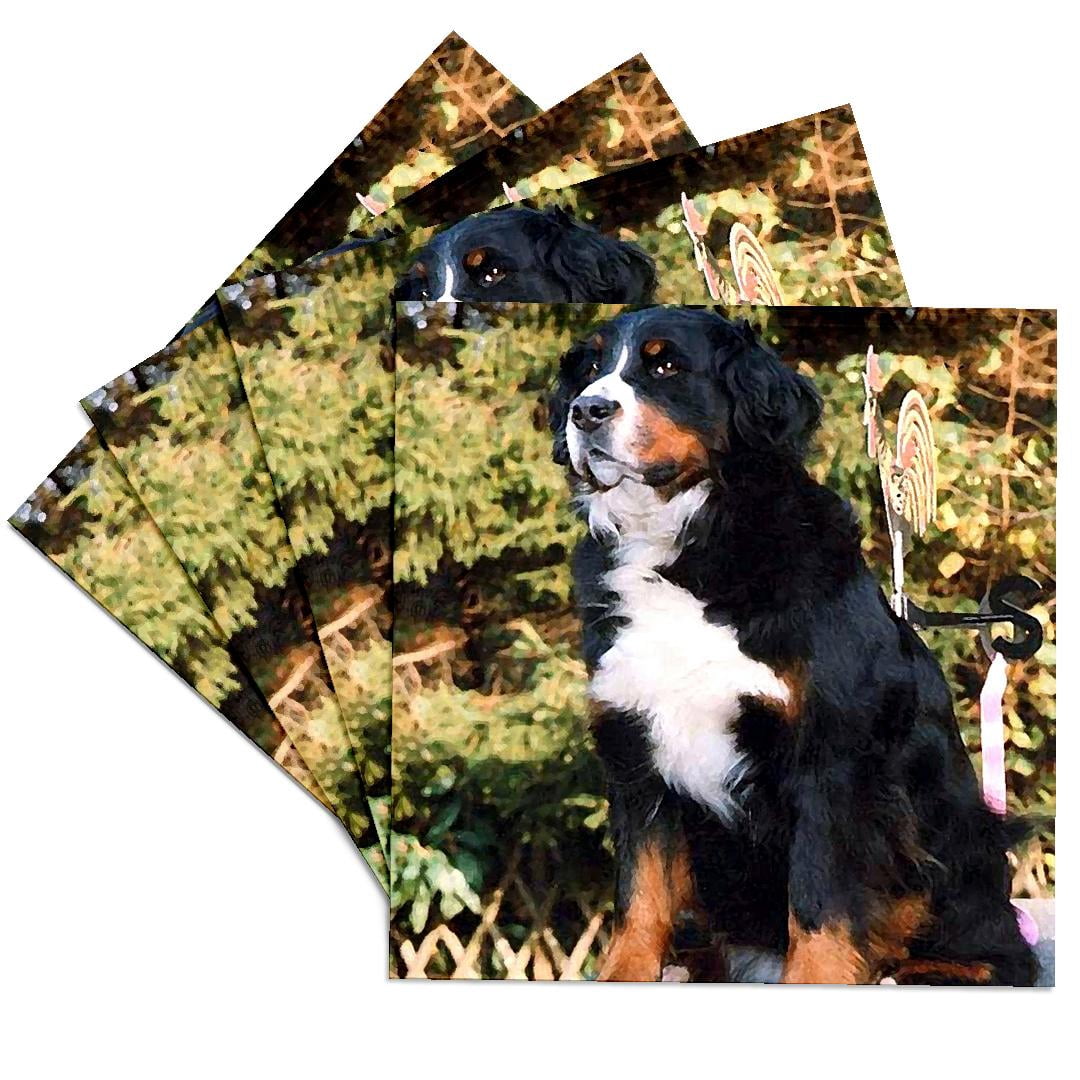 3drose, Bernese Mountain Dog, Set of 4 Ceramic Tile Coasters - Walmart.com