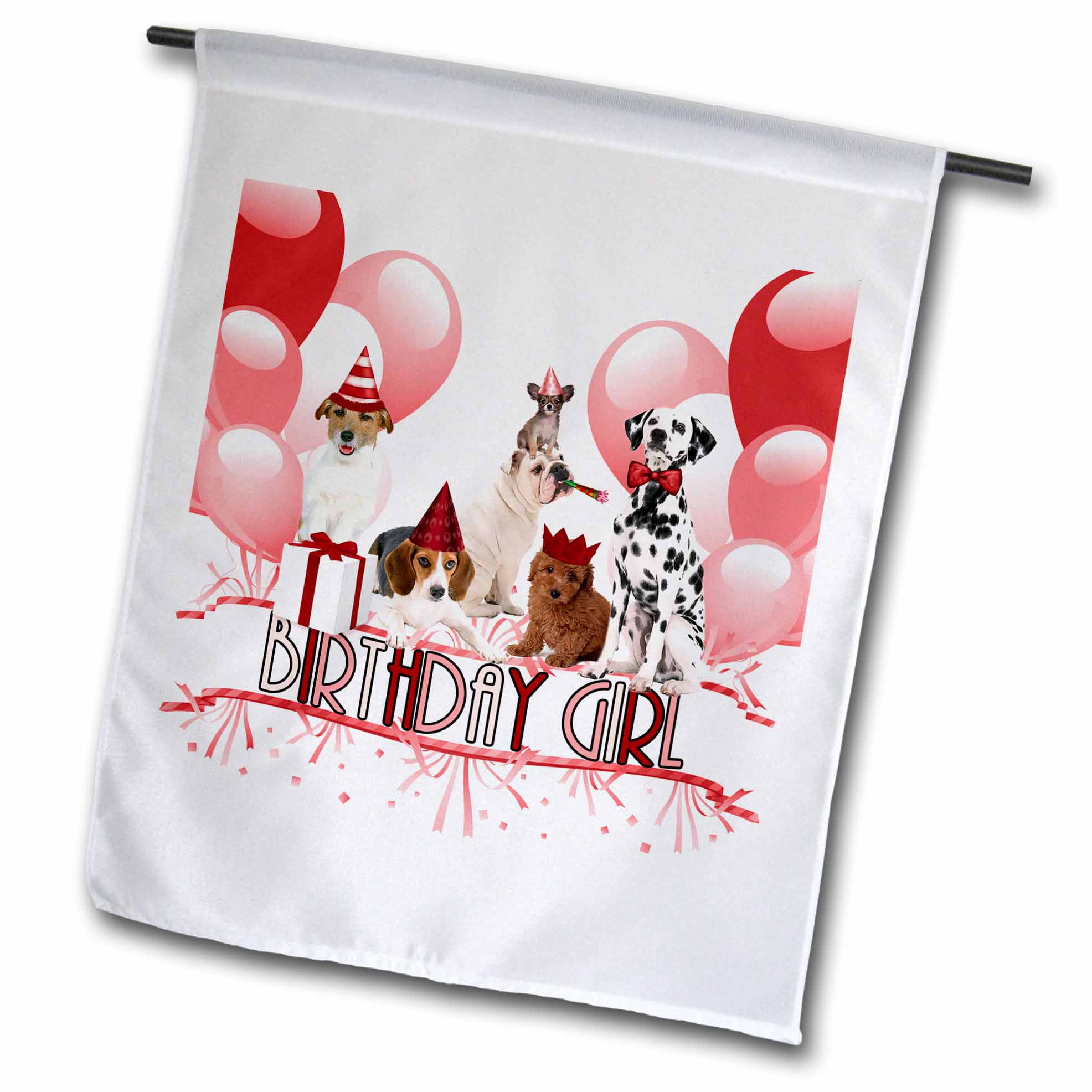 3dRose Birthday Girl Pack of Dogs in Trendy Pink Hues with a touch of ...