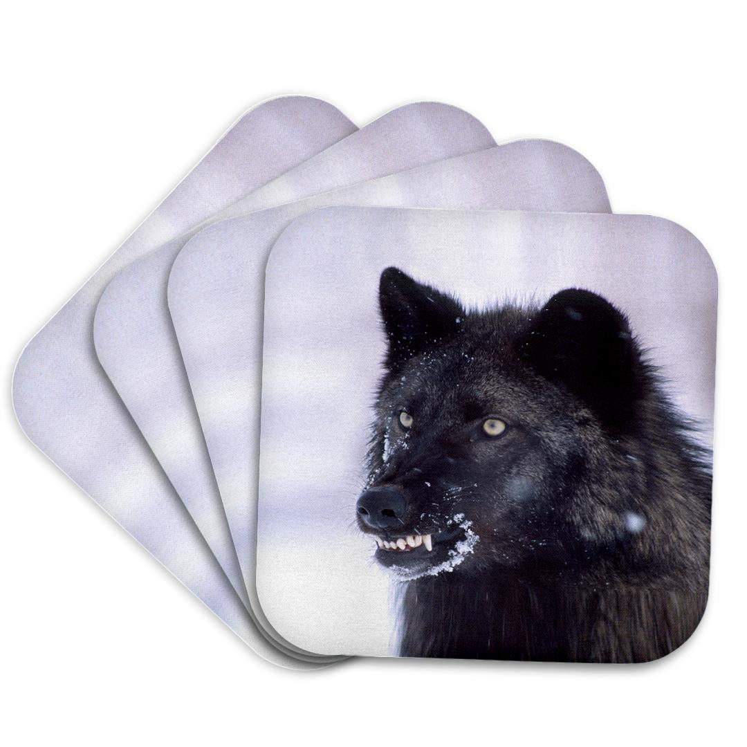 3drose, Black Timber Wolf Snarling, Canus Lupus - Na02 Dno0314 - David ...
