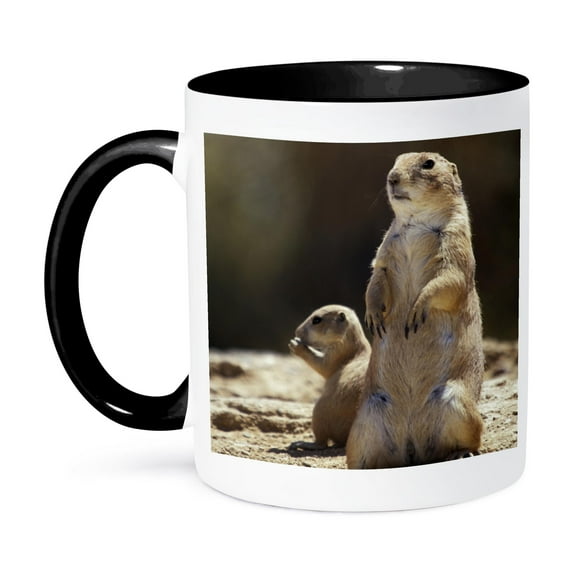 3dRose, Black-tailed Prairie dog wildlife, Arizona - US03 JME0034 ...