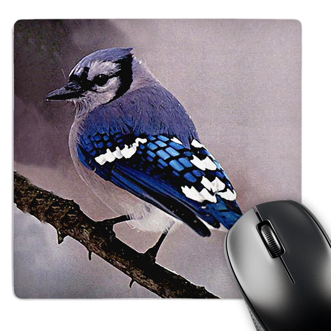 3dRose, Blue Jay, Mouse Pad - Walmart.com