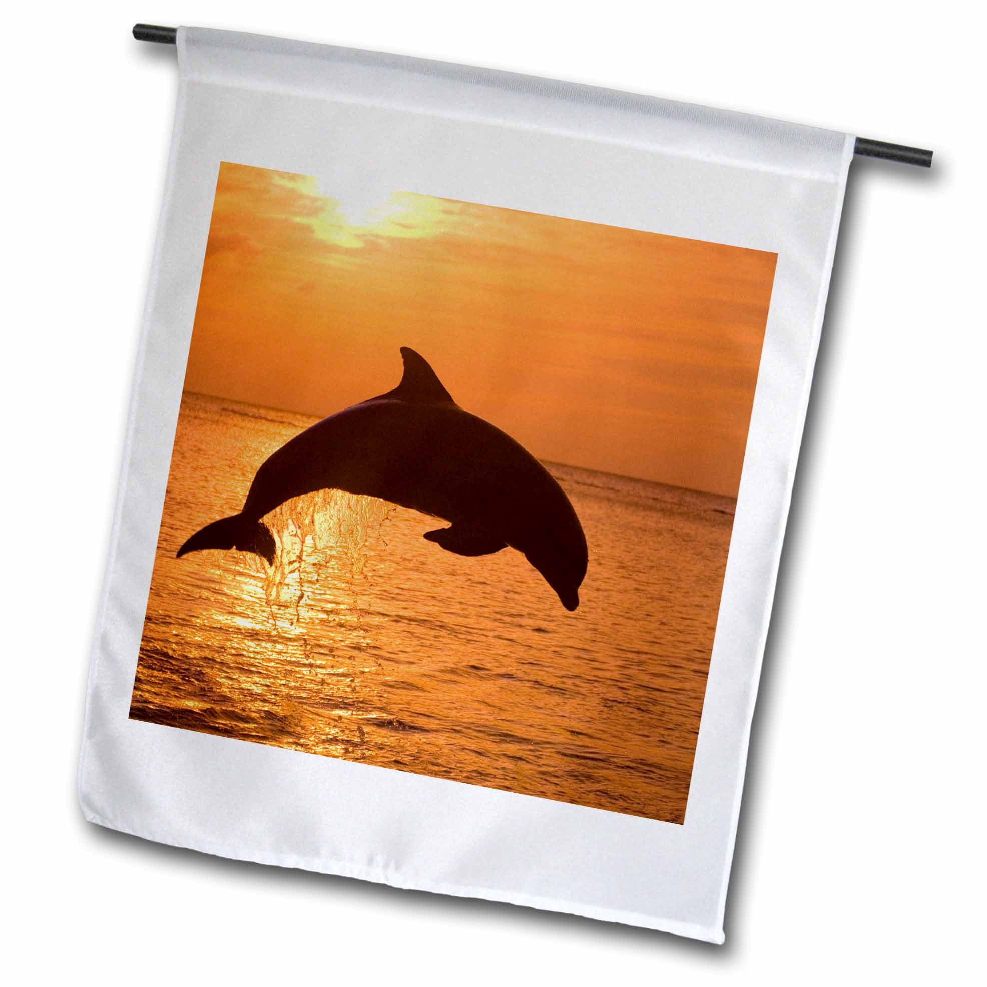 3dRose, Bottlenose Dolphins, Roatan, Honduras - SA12 SWE0009 - Stuart ...
