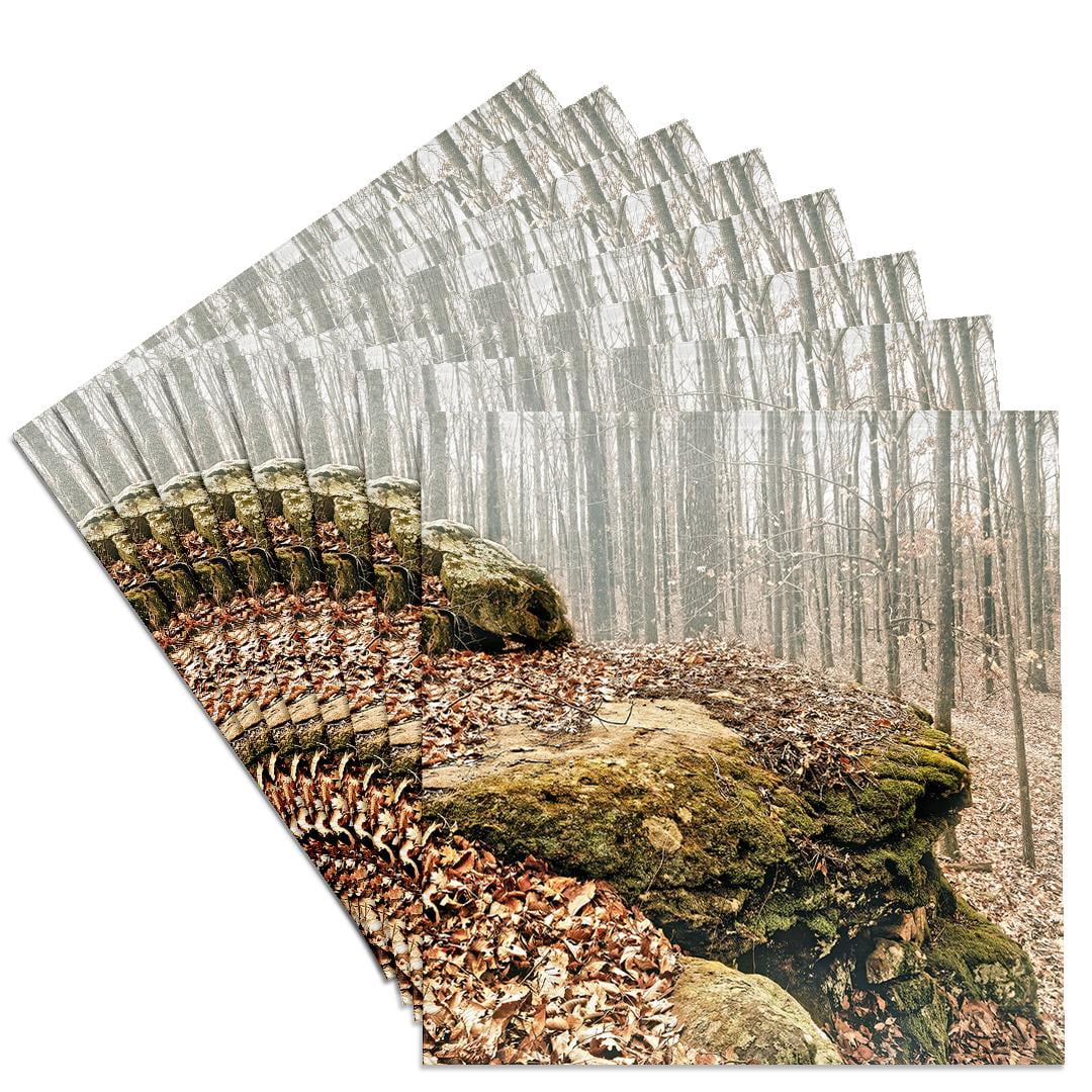 3drose, Boulders in Profile in Monte Sano State Park, Set of 8 Ceramic ...