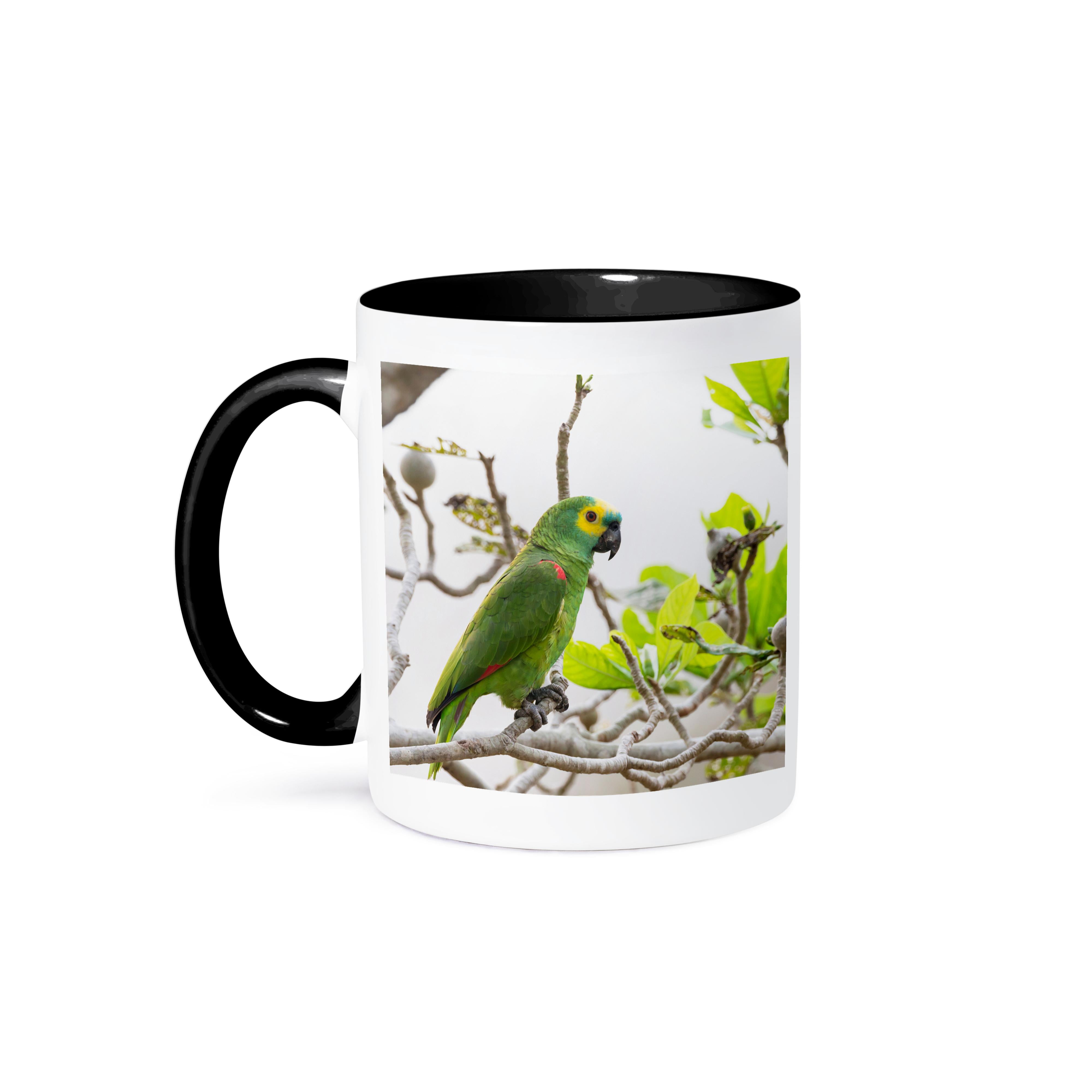 Brazil, Mato Grosso, The Pantanal, Turquoise-Fronted Amazon In Tree ...