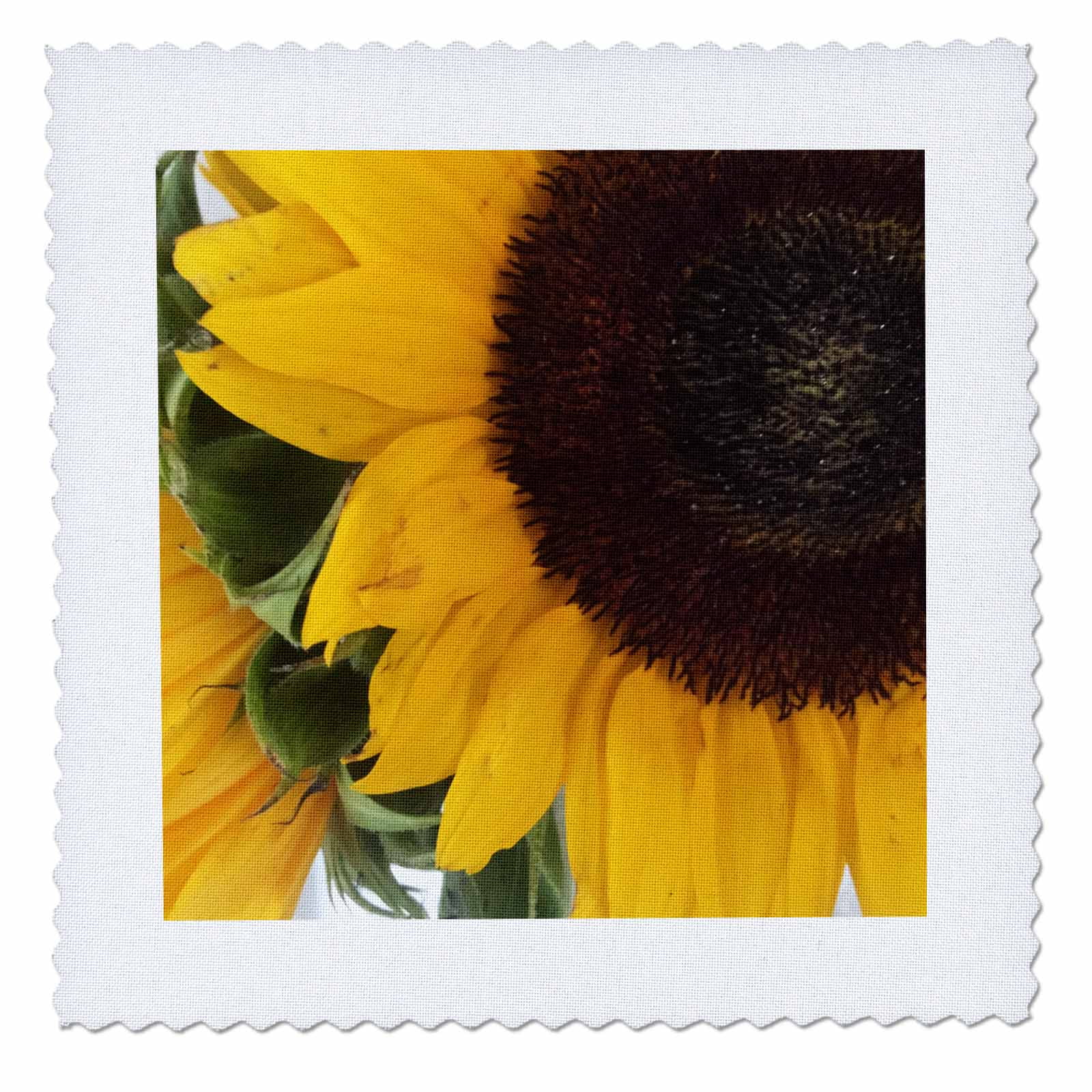 3dRose, Bright and Beautiful Sunflower, 10x10 inch quilt square ...