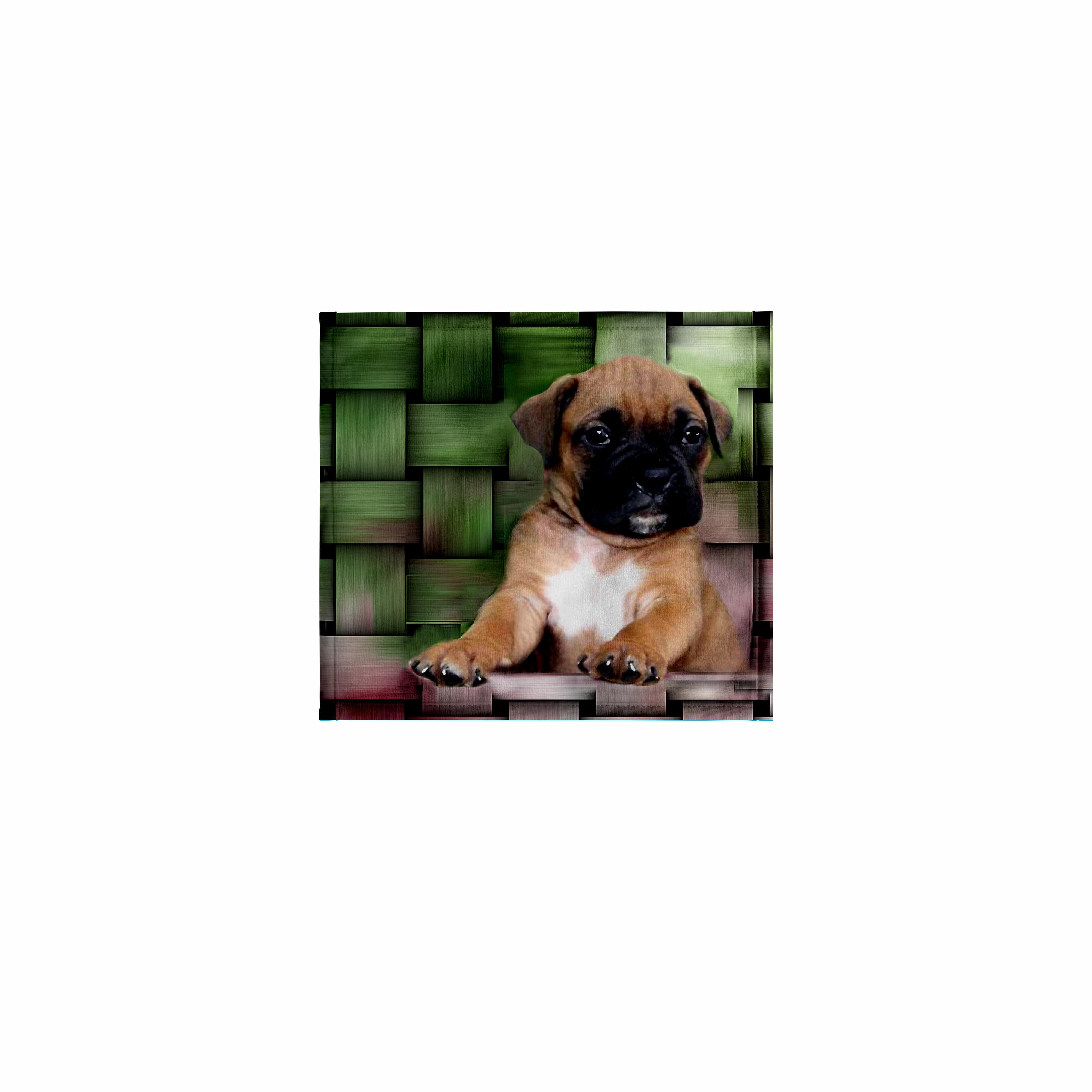 3dRose, Brindle Boxer Puppy, 11x12 Wash Cloth for Face and Body ...